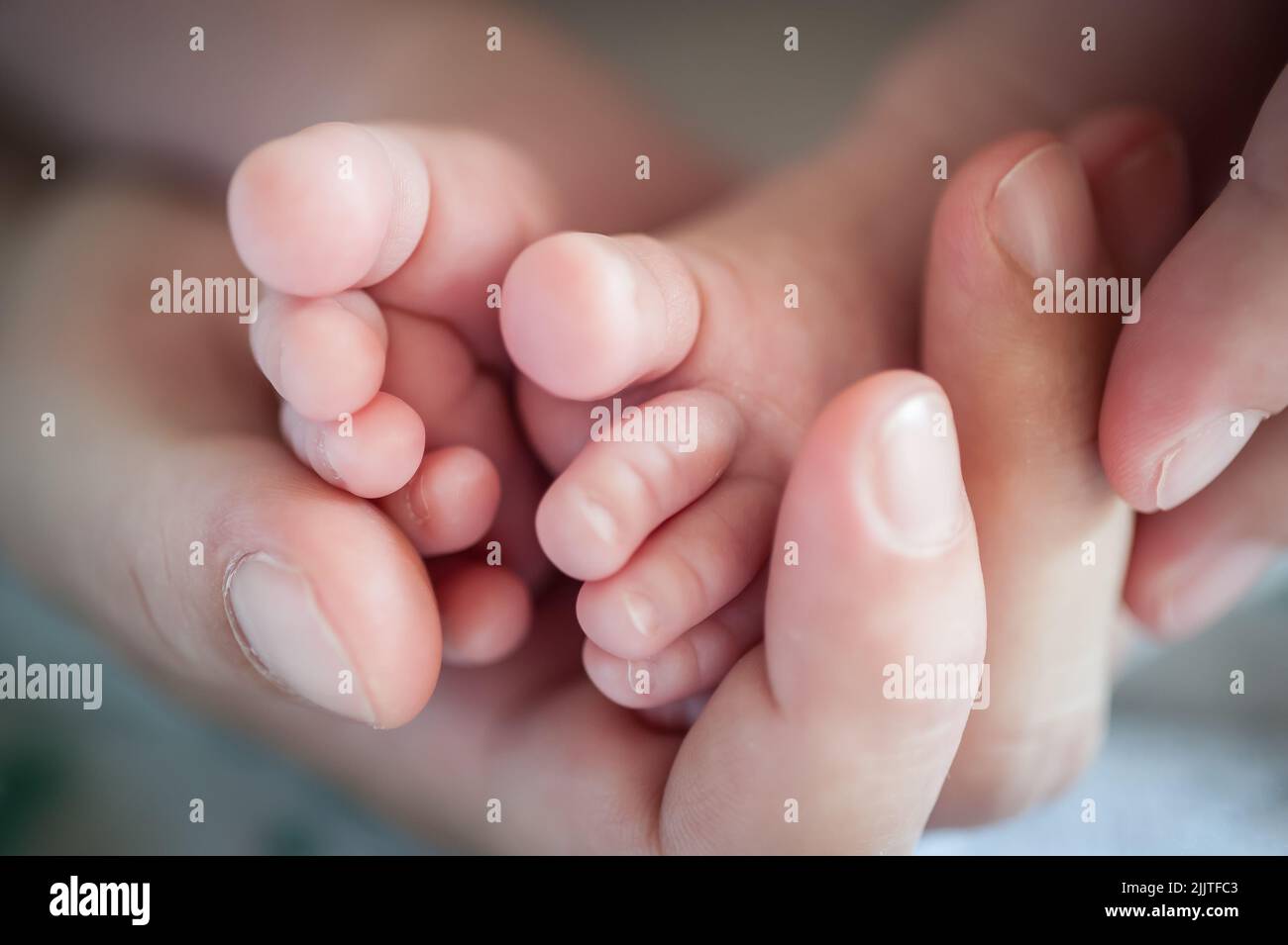 Close-up detail of parent holding cute and soft baby small leg in his ...