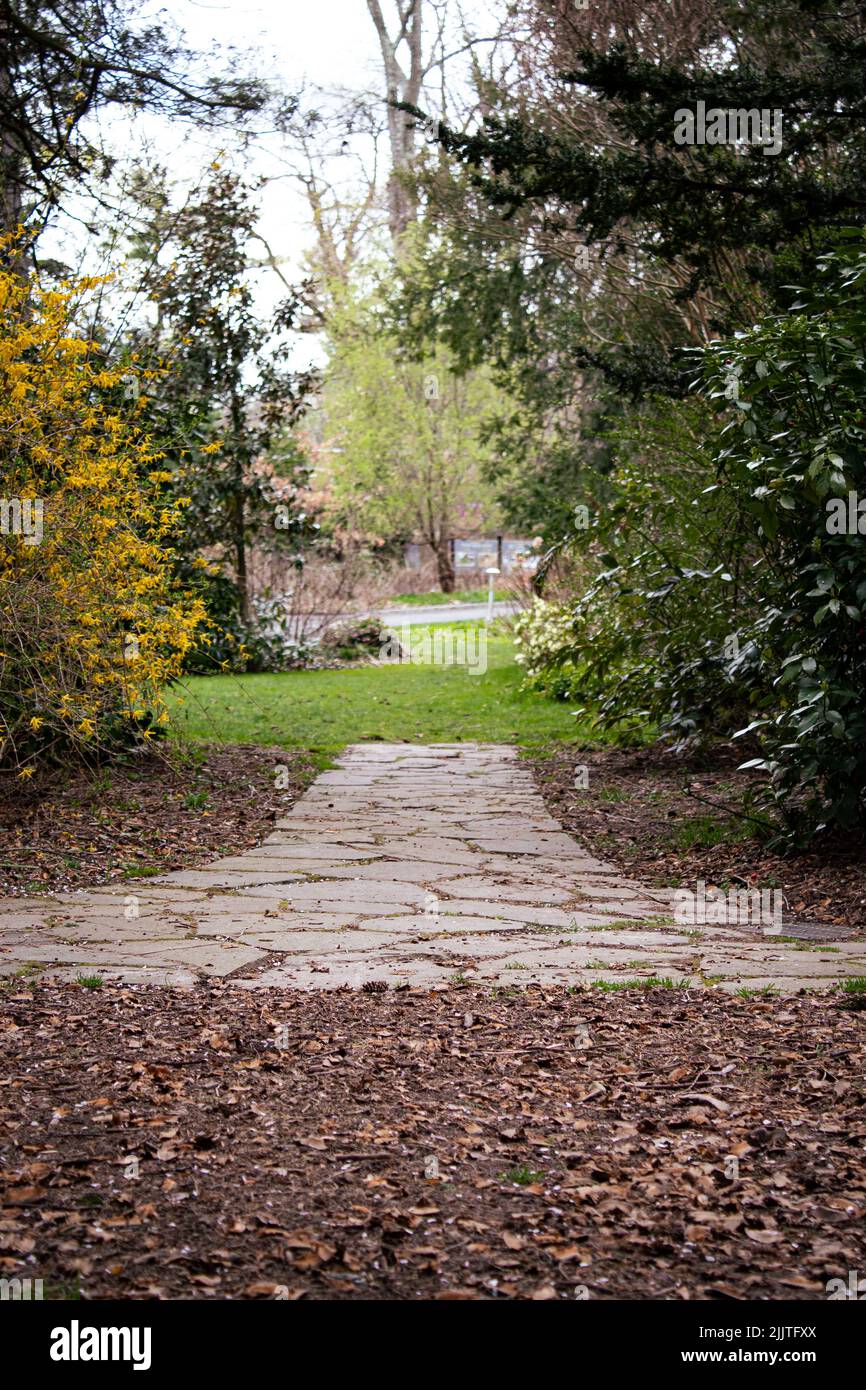 A pathway between trees in a park Stock Photo - Alamy
