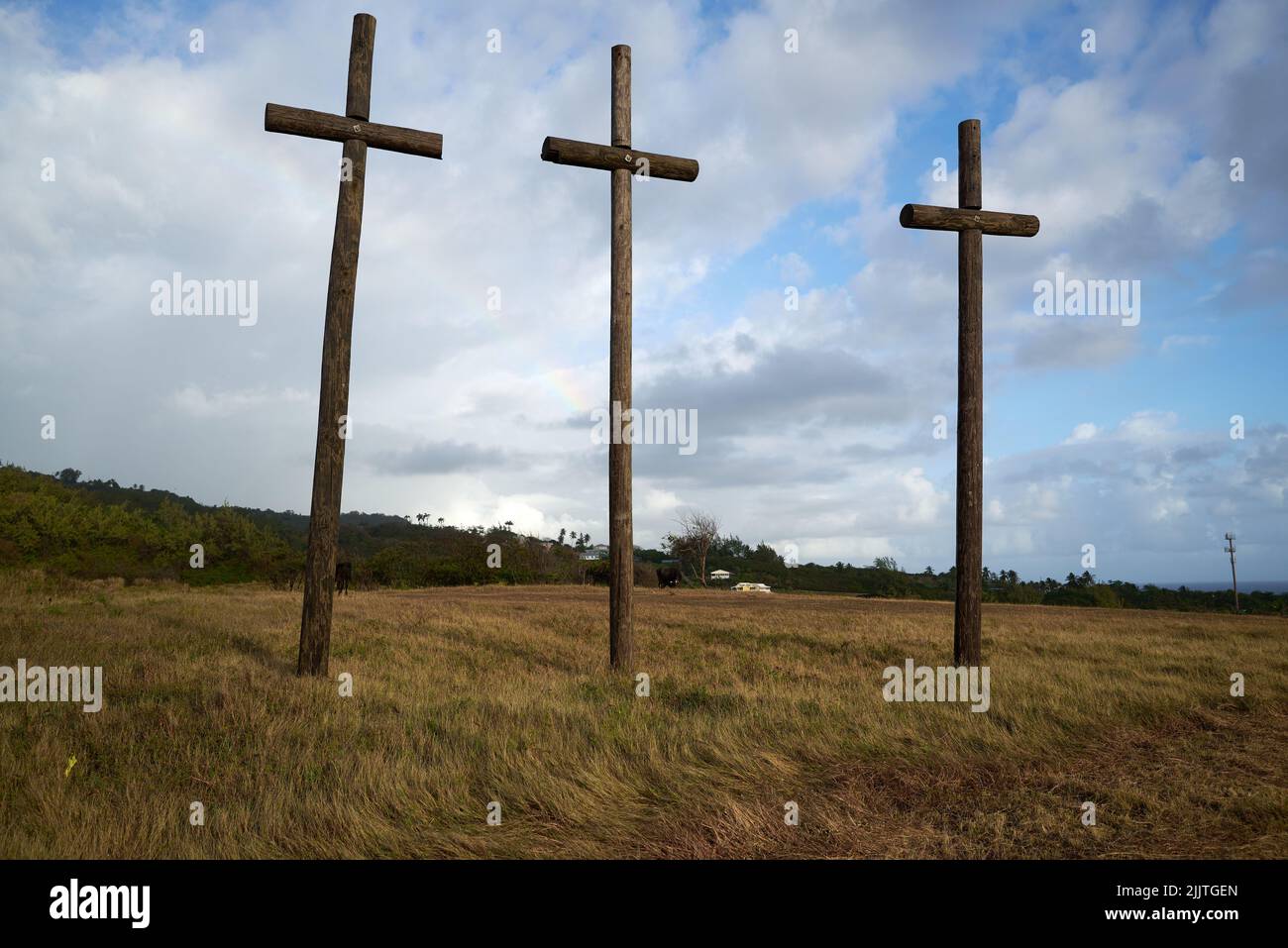 A low angle of three wooden crosses in the field against blue sky ...