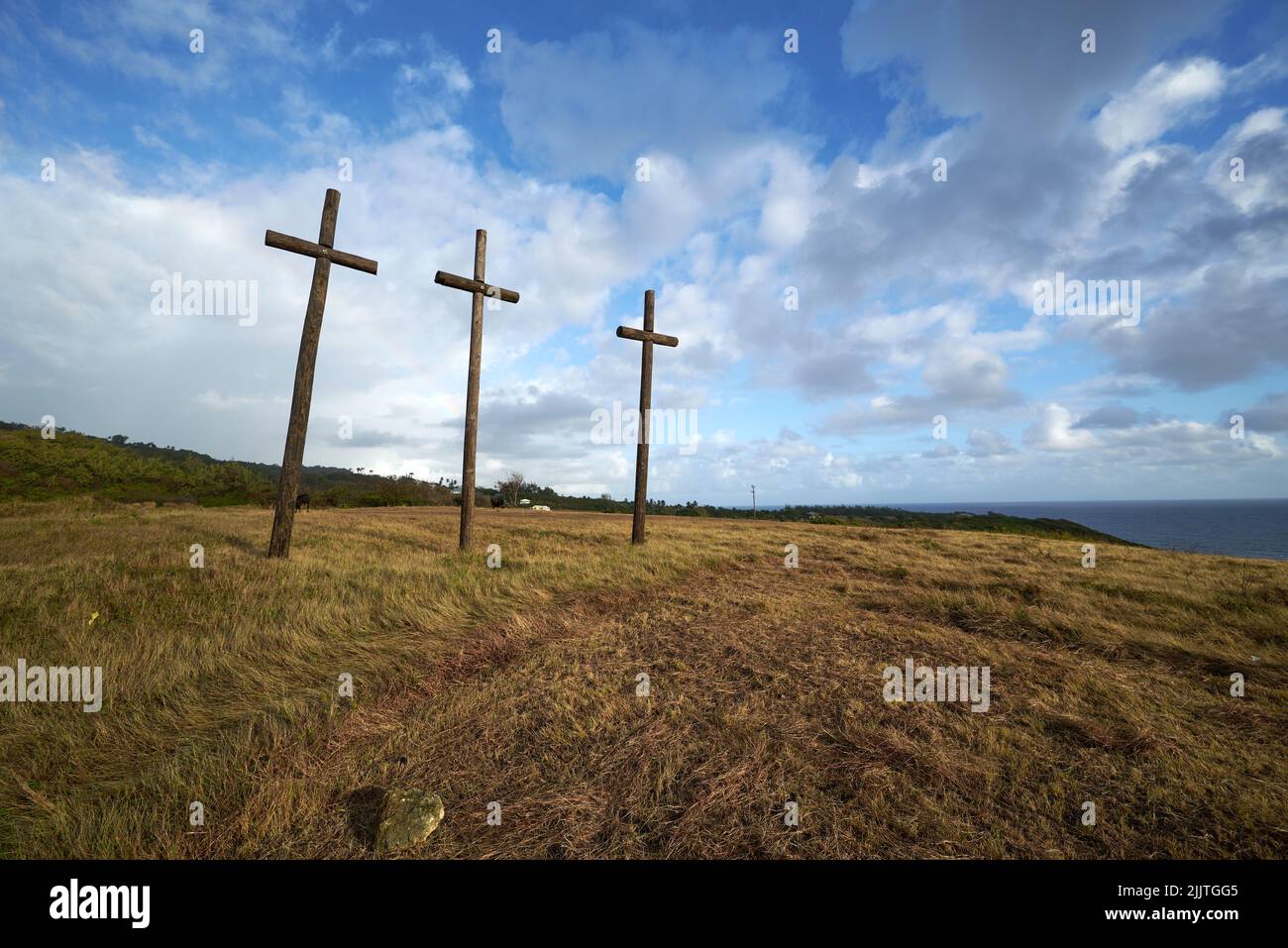 A low angle of three wooden crosses in the field against blue sky ...