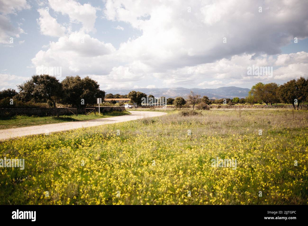 Field of flowers mountains hi-res stock photography and images - Alamy