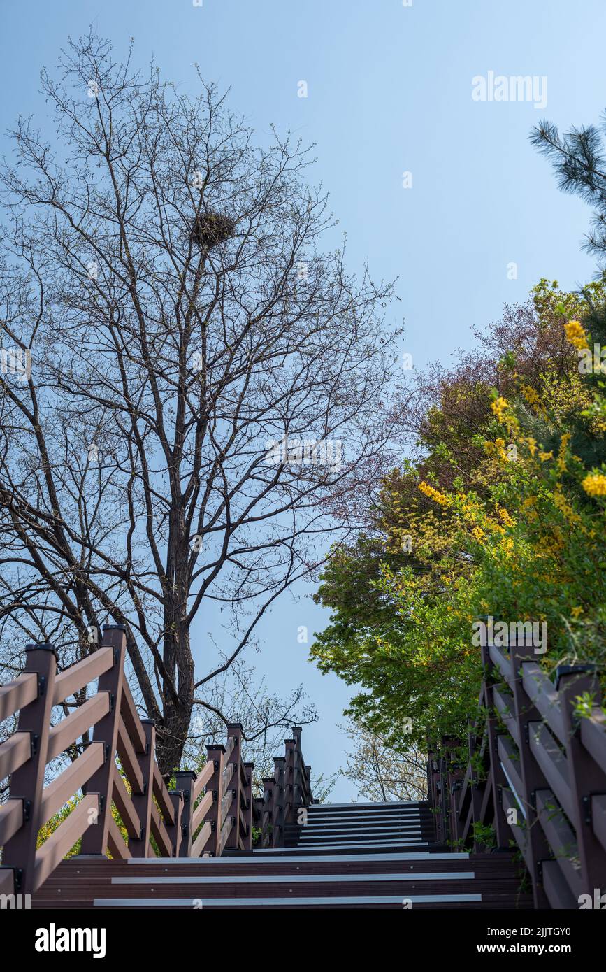 Stone path in japanese hi-res stock photography and images - Alamy