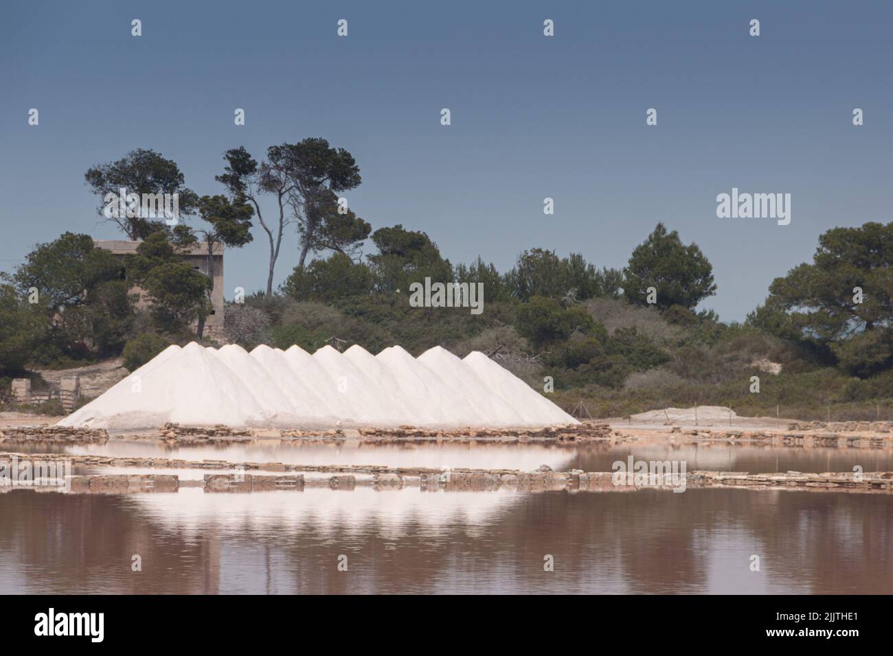Saline soil hi-res stock photography and images - Alamy