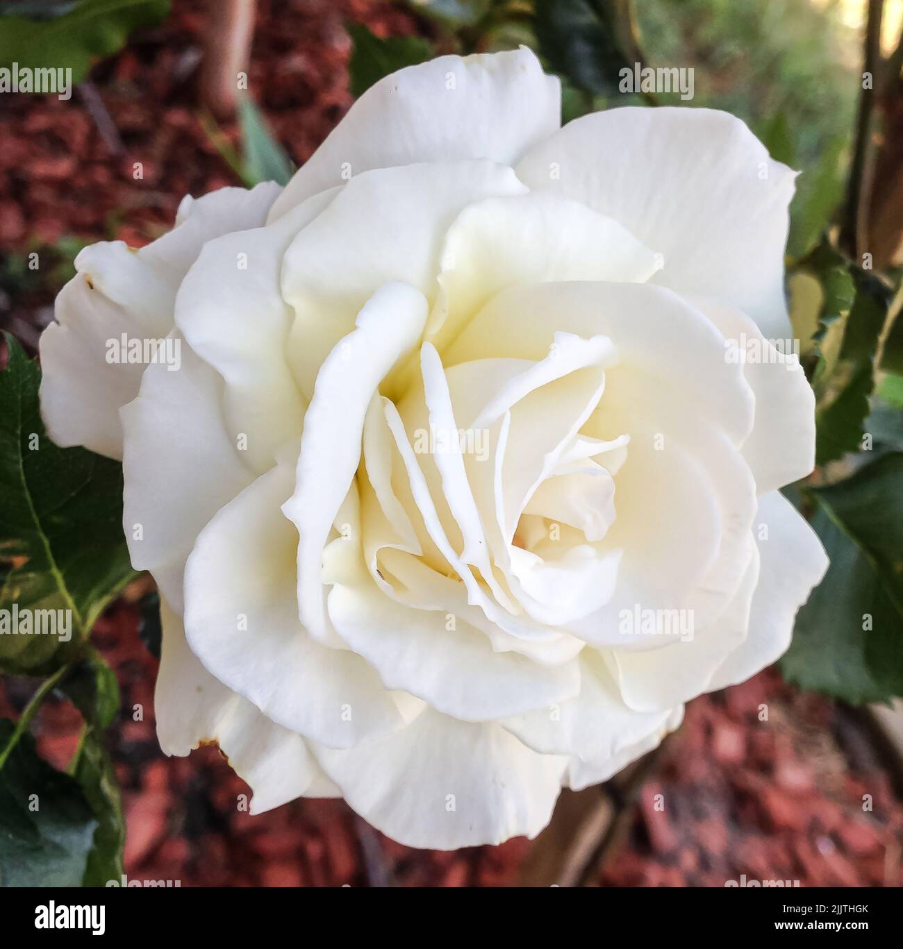 Vertical fragile hi-res stock photography and images - Alamy