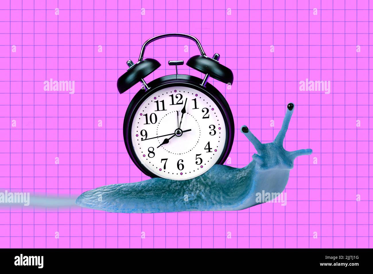 Composite collage illustration of snail crawl hold big classic clock ...