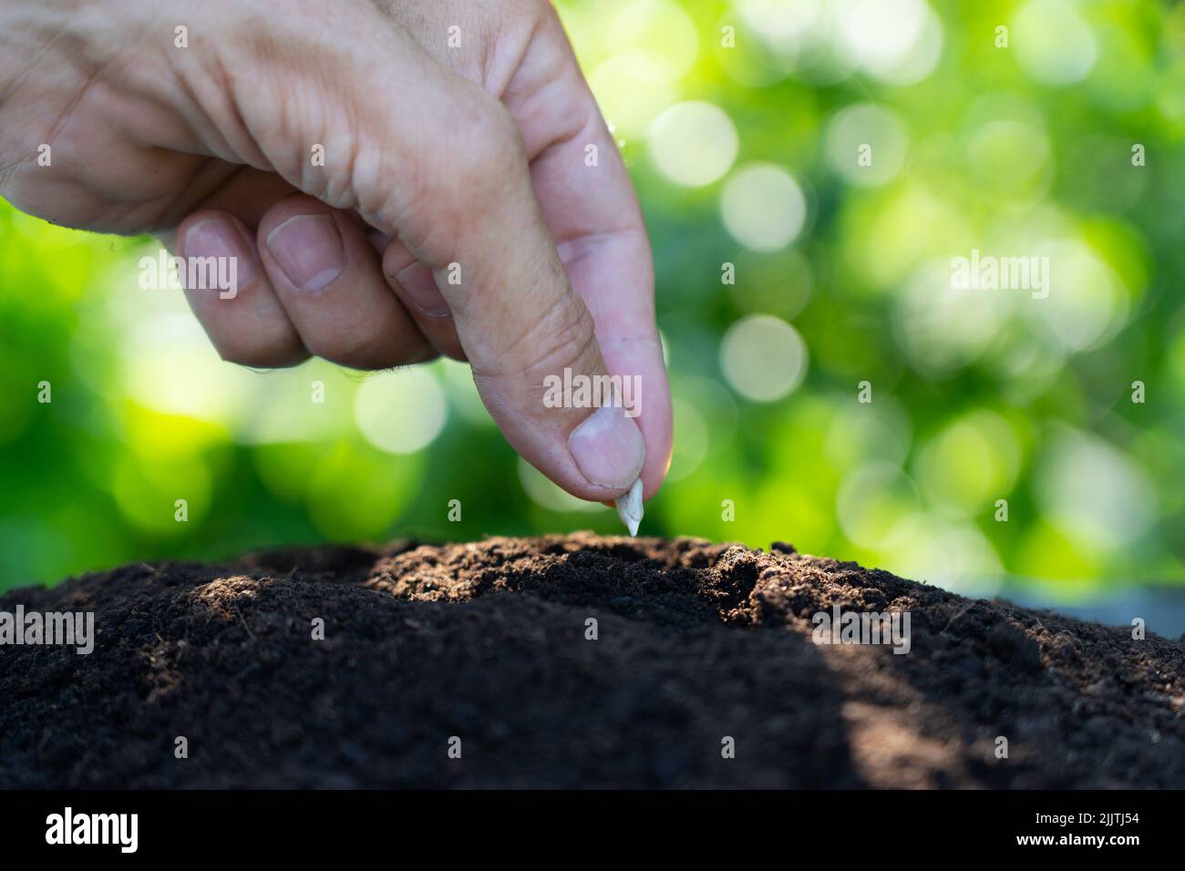 Farmer sowing seed Stock Photo - Alamy