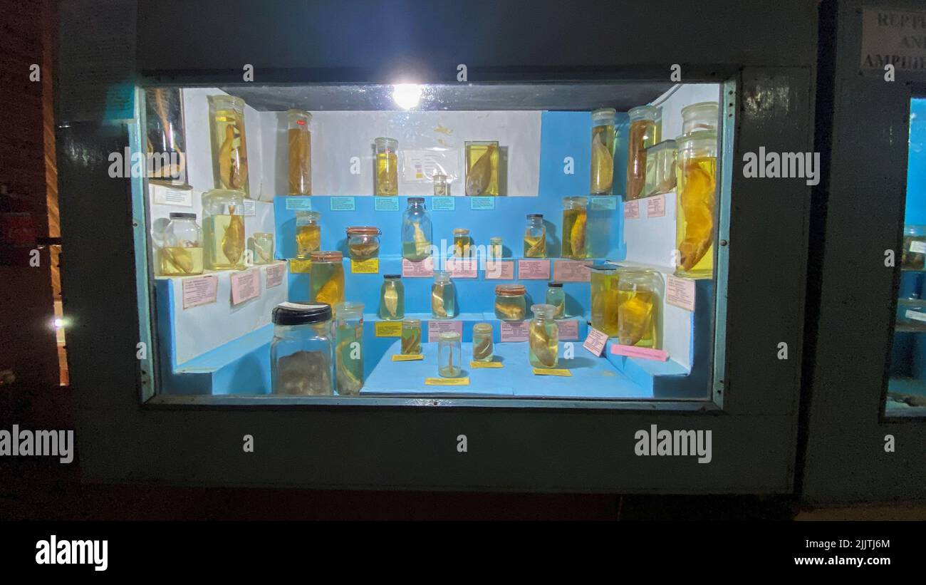 Ile ife osun hi-res stock photography and images - Alamy