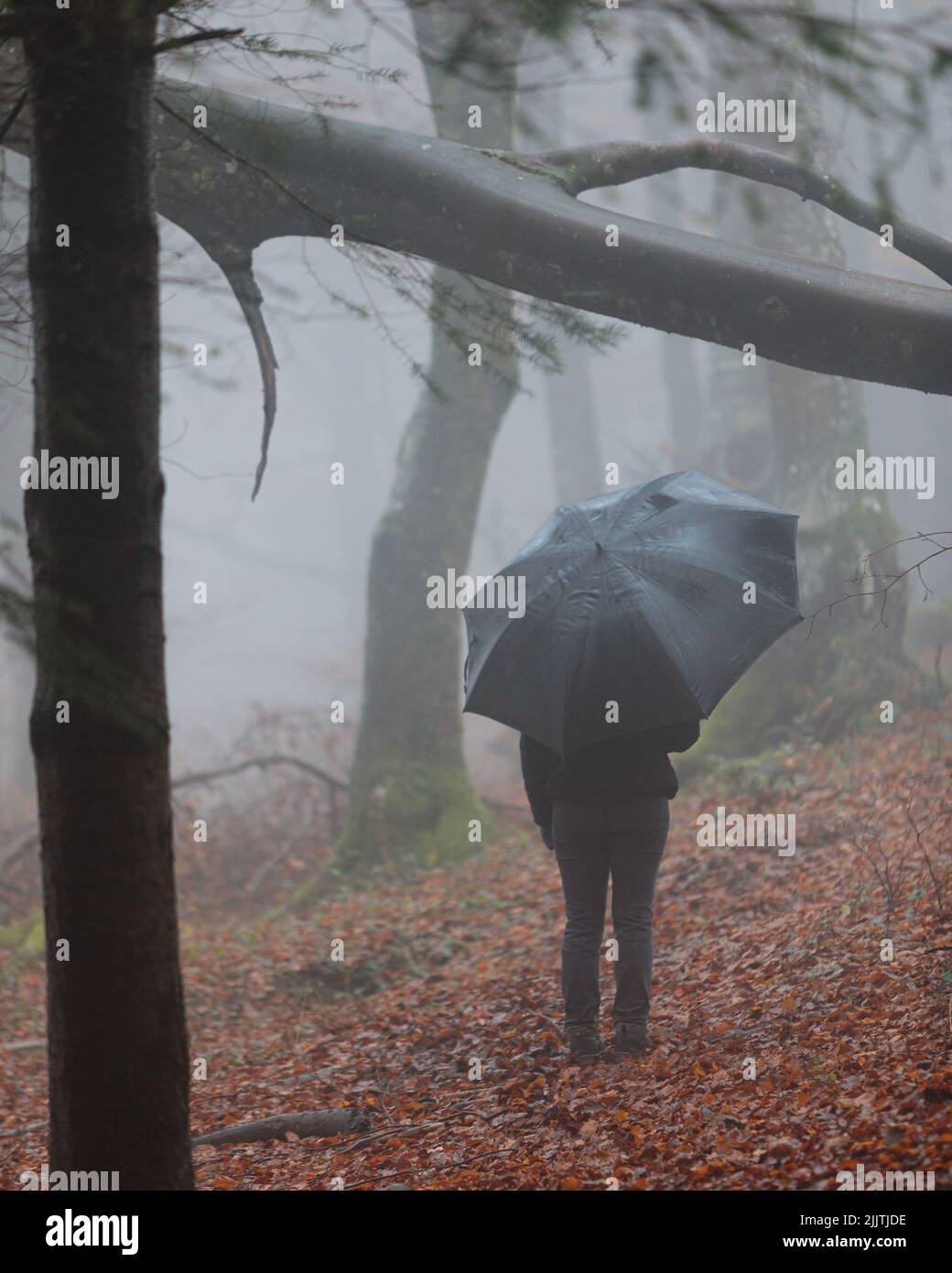 Human rain hi-res stock photography and images - Alamy