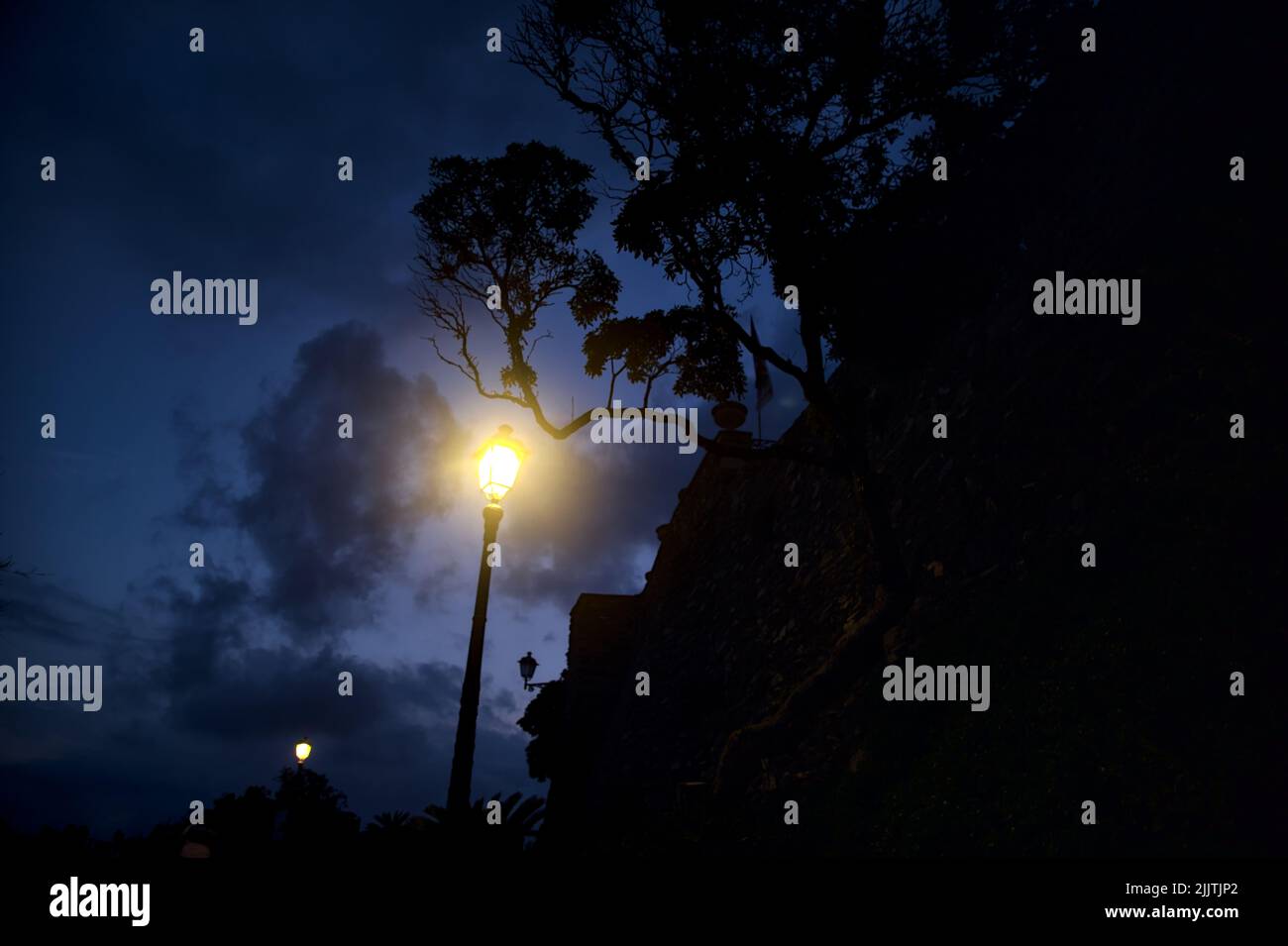 Silhouette of a bent tree with a street light and the sky at dusk as ...