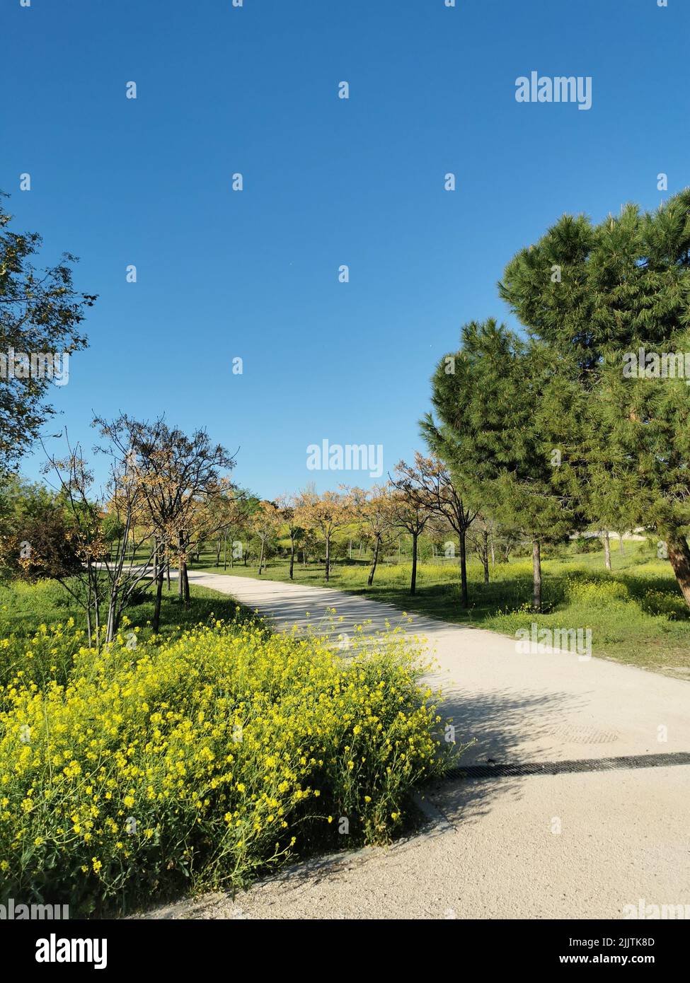 A vertical shot of Cuna Verde de O'Donnell Park with green nature in ...
