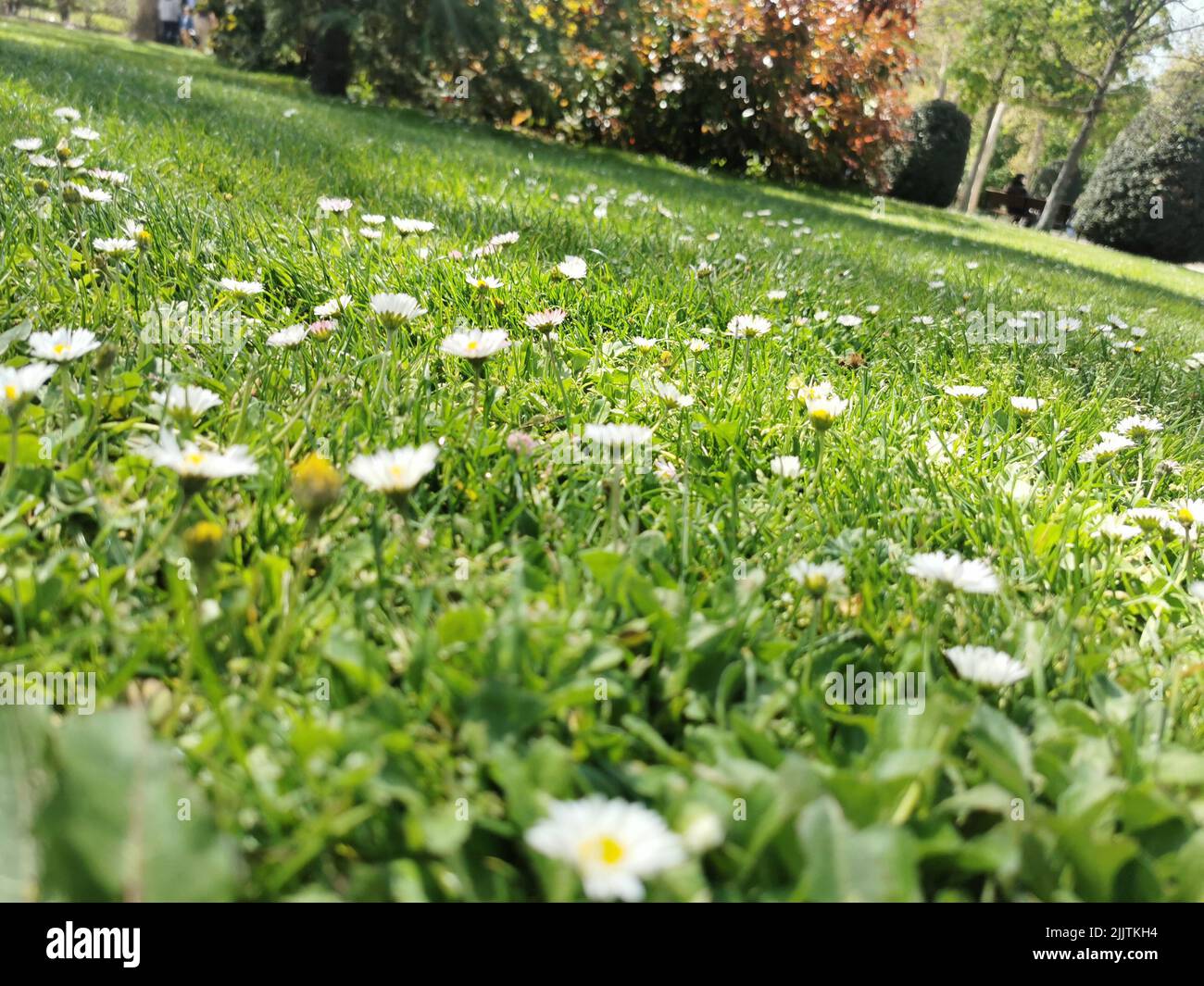 Growing day hi-res stock photography and images - Alamy