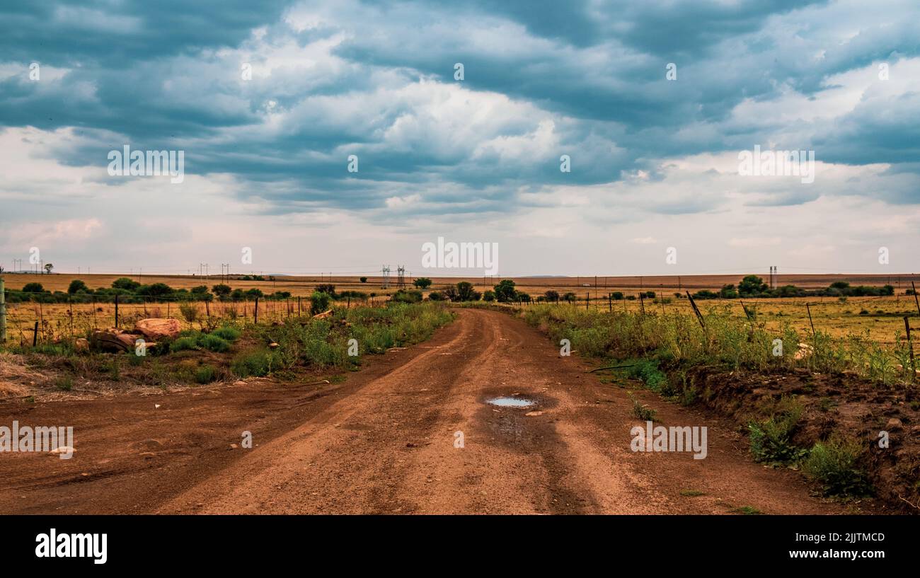 An empty sand road surrounded by fields under a cloudy sky Stock Photo ...