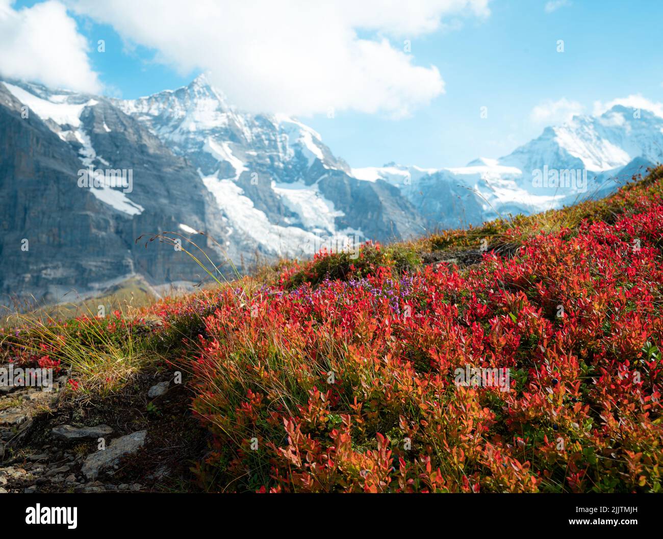 Bernese alps of switzerland hi-res stock photography and images - Alamy