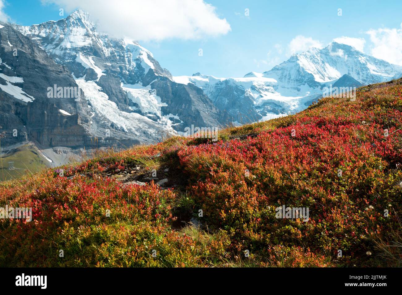 Bernese alps of switzerland hi-res stock photography and images - Alamy