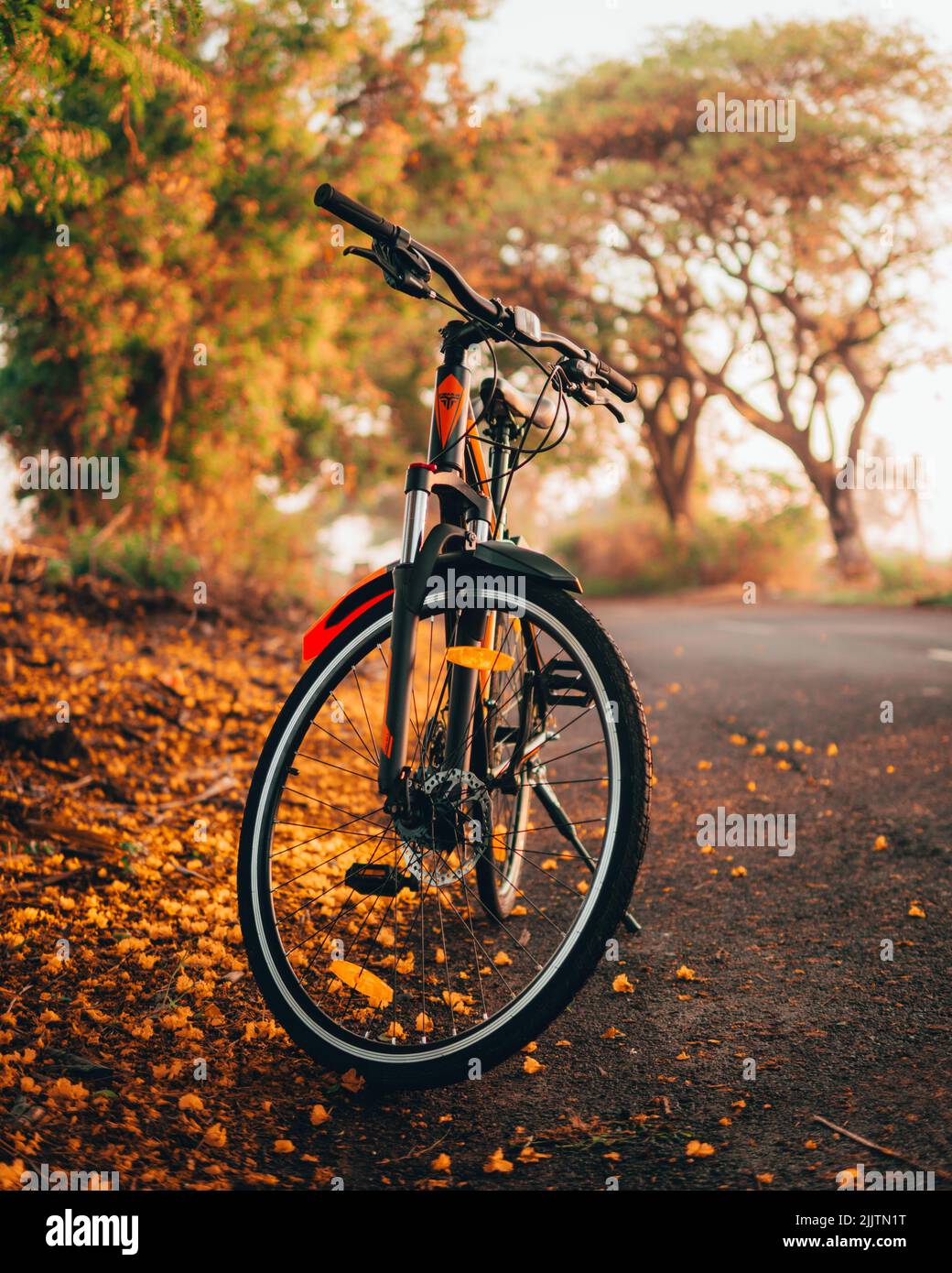 Empty park and bike hi-res stock photography and images - Alamy