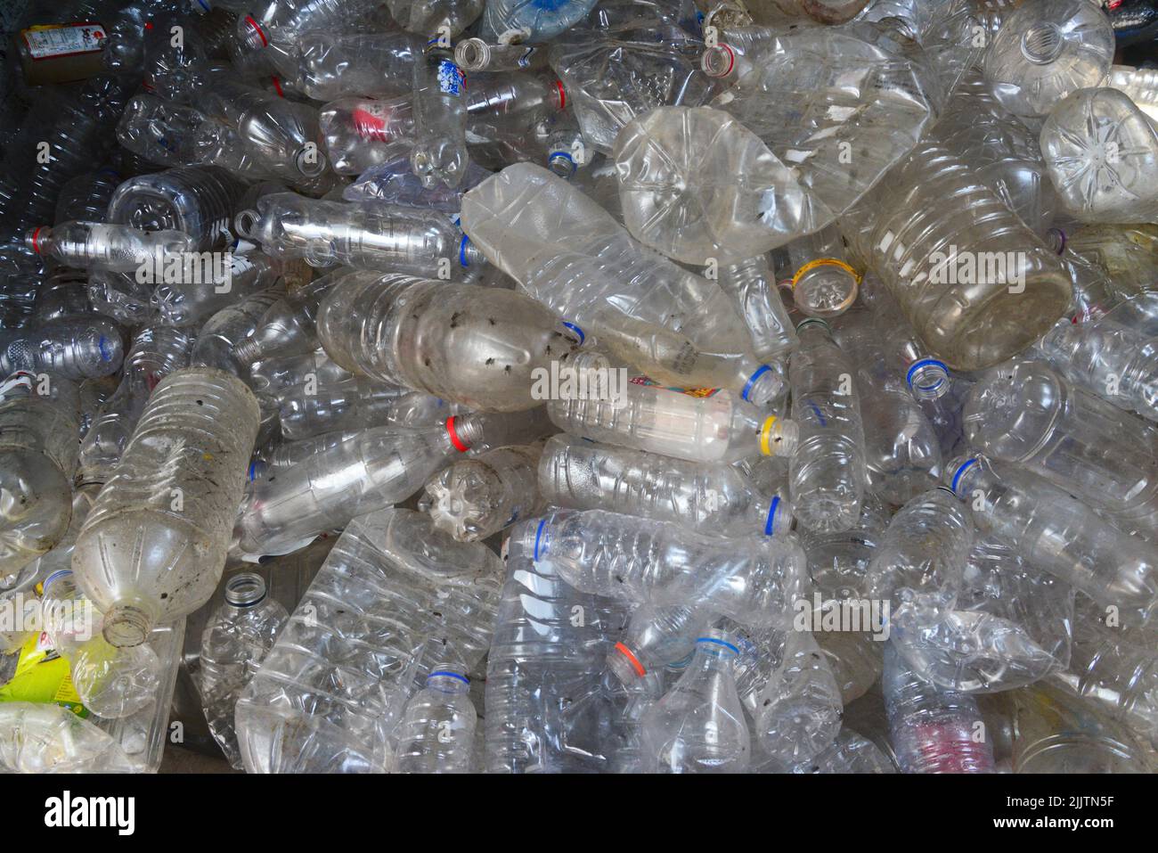 Plastic bottles are seen in a recycling factory in Dhaka, Bangladesh ...