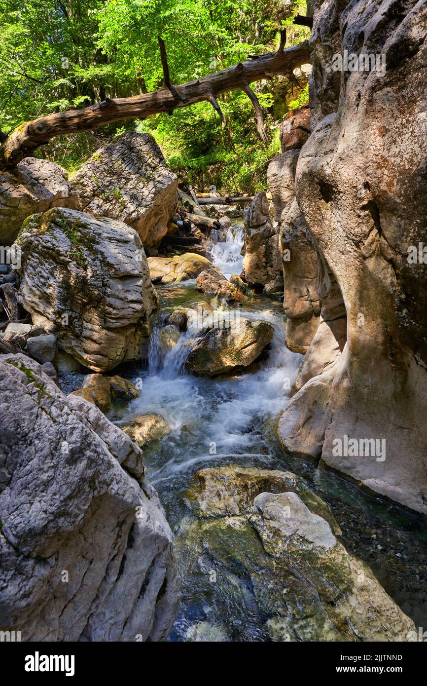 River flowing through a rocky canyon in the summer Stock Photo - Alamy