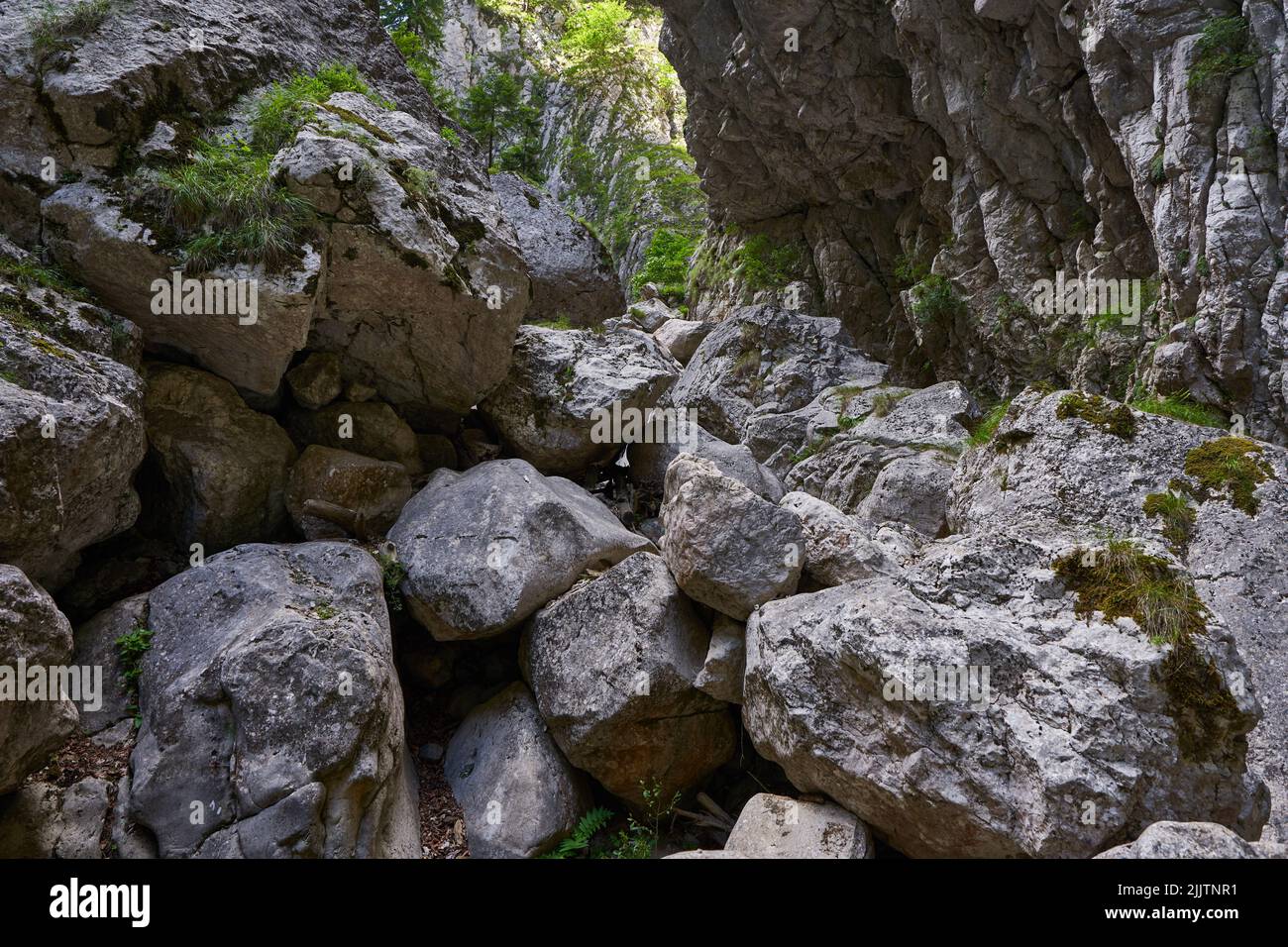 River bed in a canyon with enormous boulders Stock Photo - Alamy