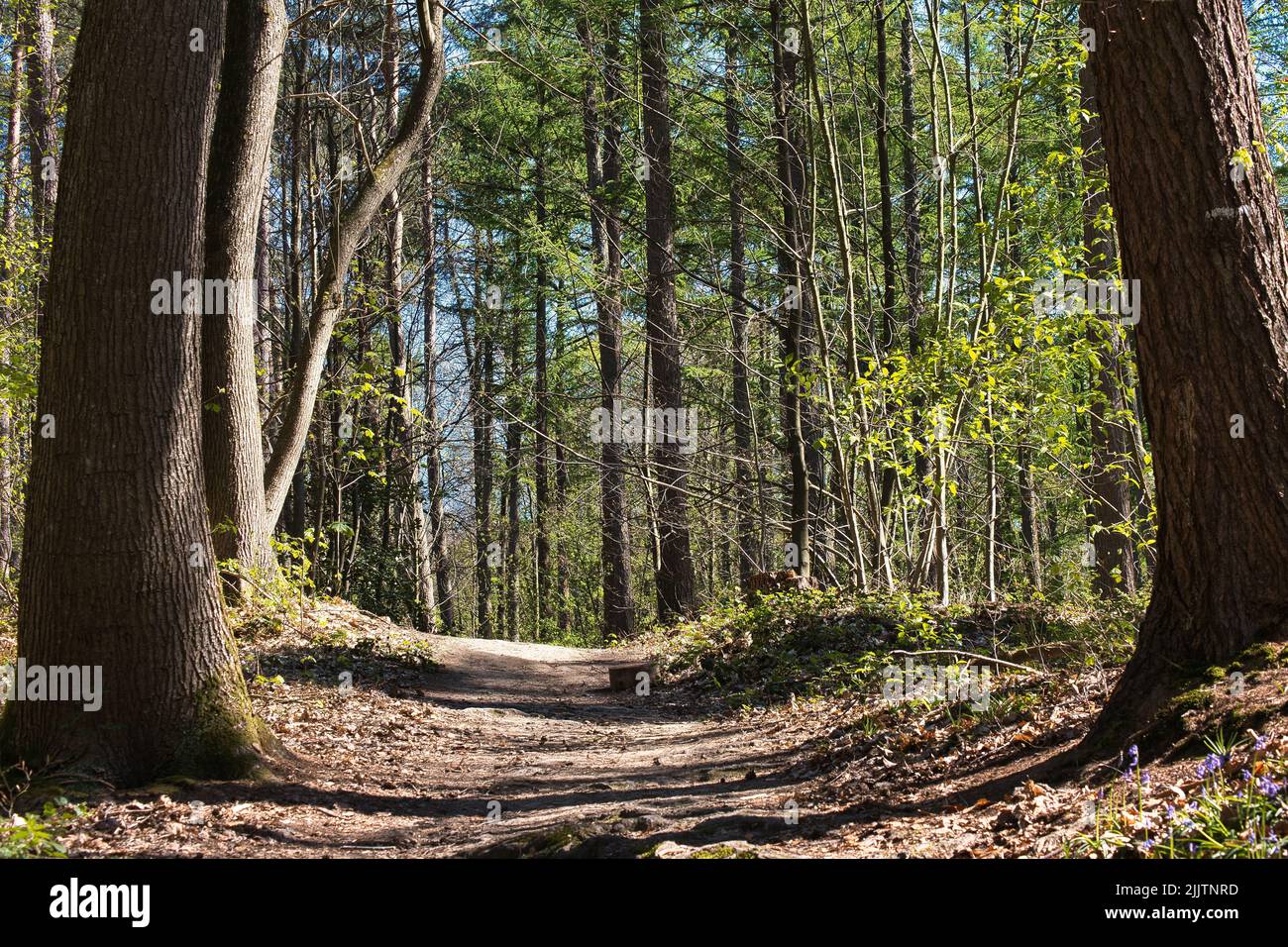 Beautiful green trail hi-res stock photography and images - Alamy