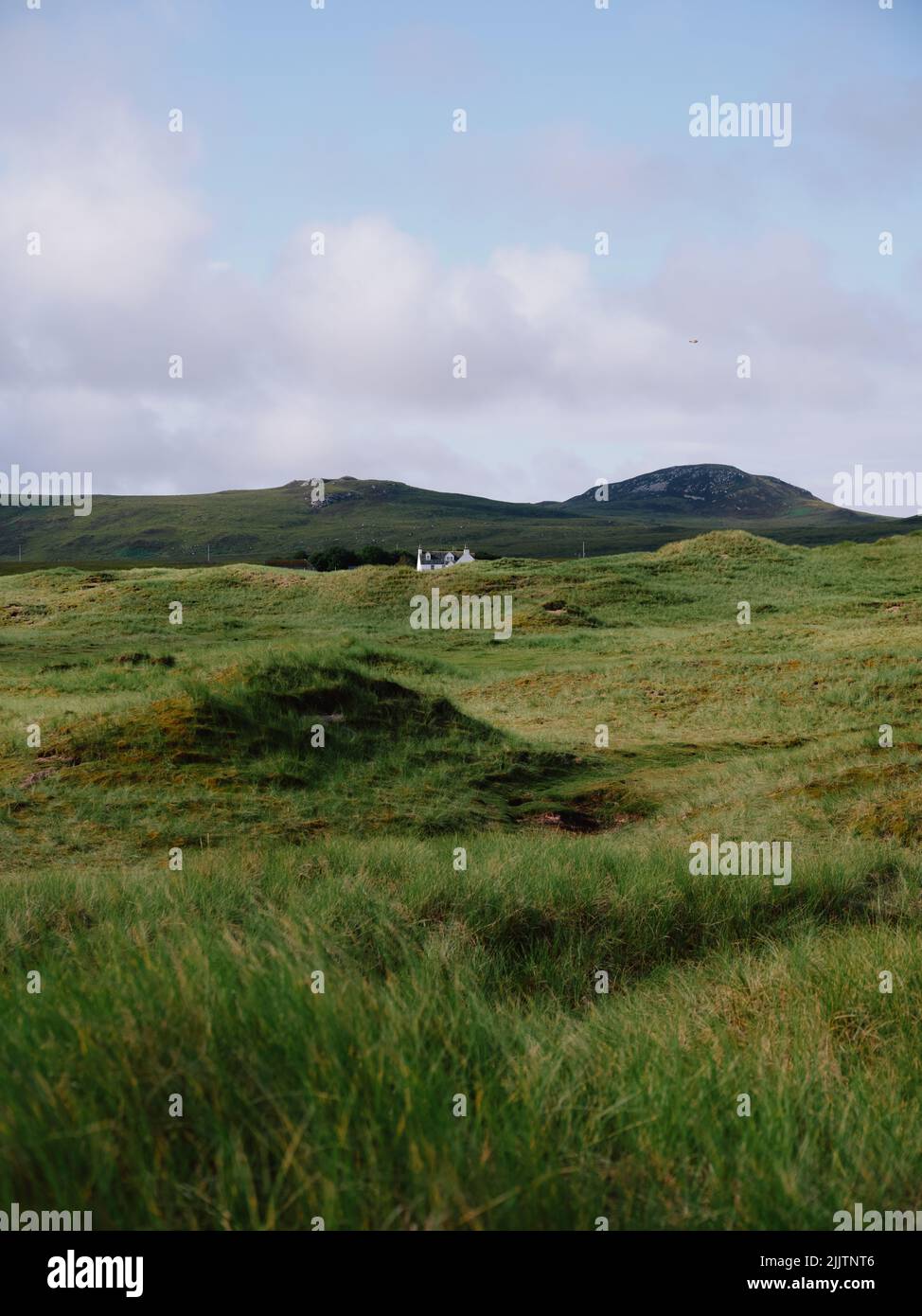 Lone white croft house summer grass & dune landscape of Achnahaird ...