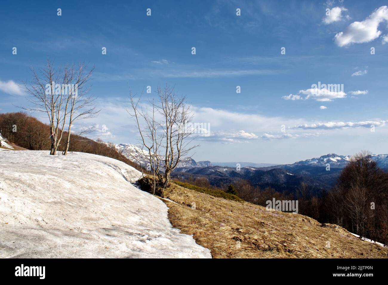 Melting snow hillside hi-res stock photography and images - Alamy
