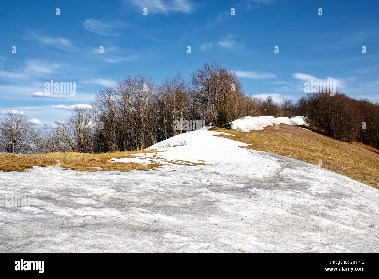 Hillside botany hi-res stock photography and images - Alamy