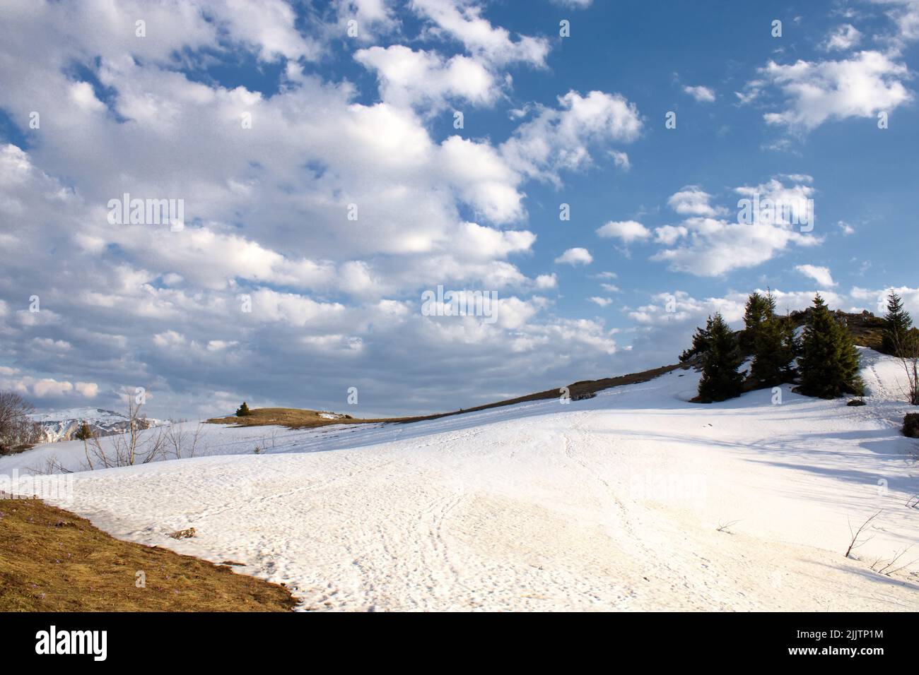 Hillside under trees hi-res stock photography and images - Alamy
