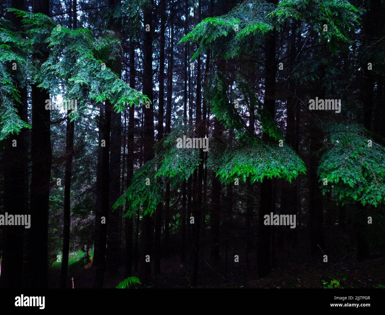 Sirhowy hi-res stock photography and images - Alamy