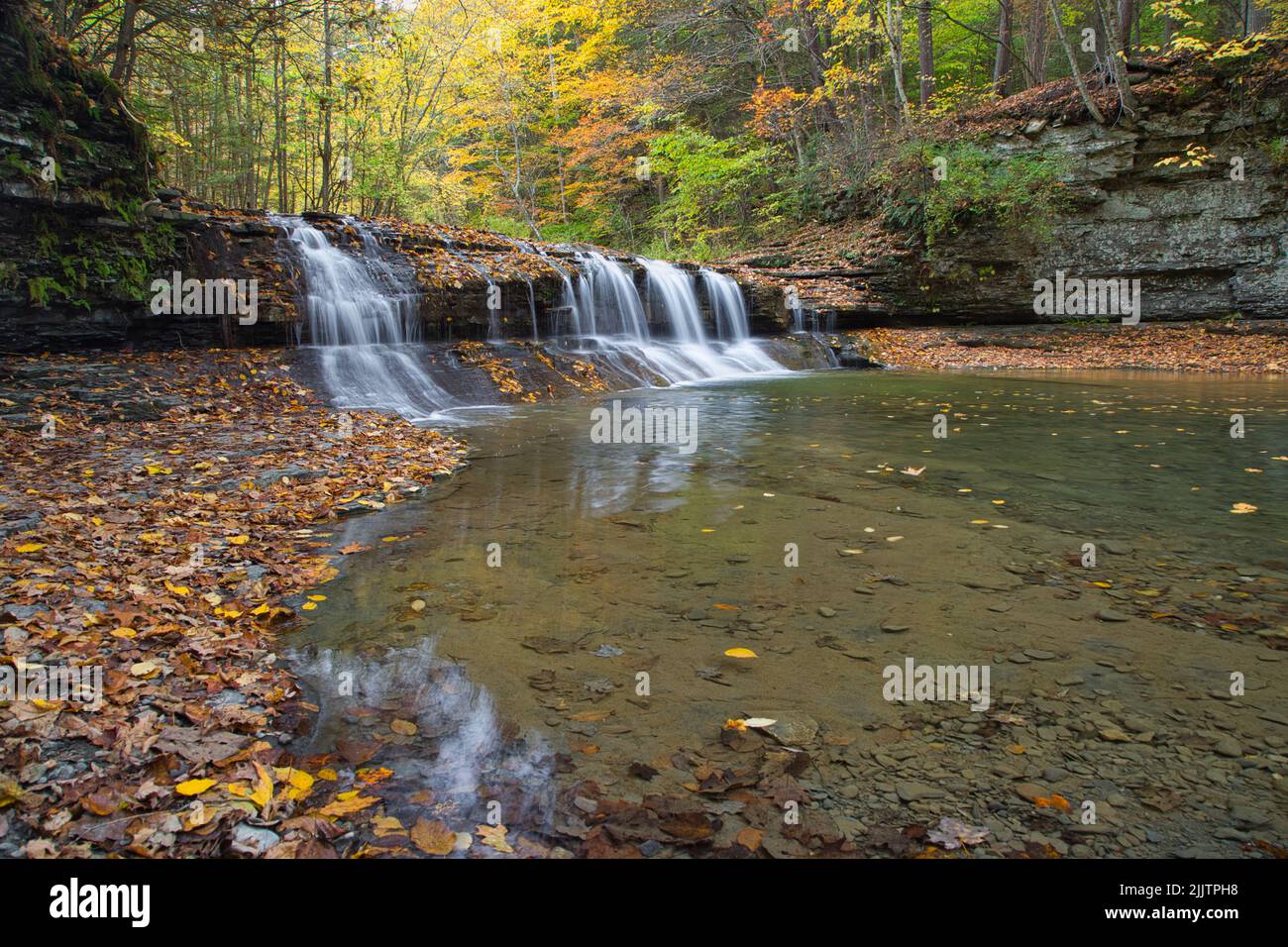 A small waterfall surrounded by the forest in autumn in Robert H ...