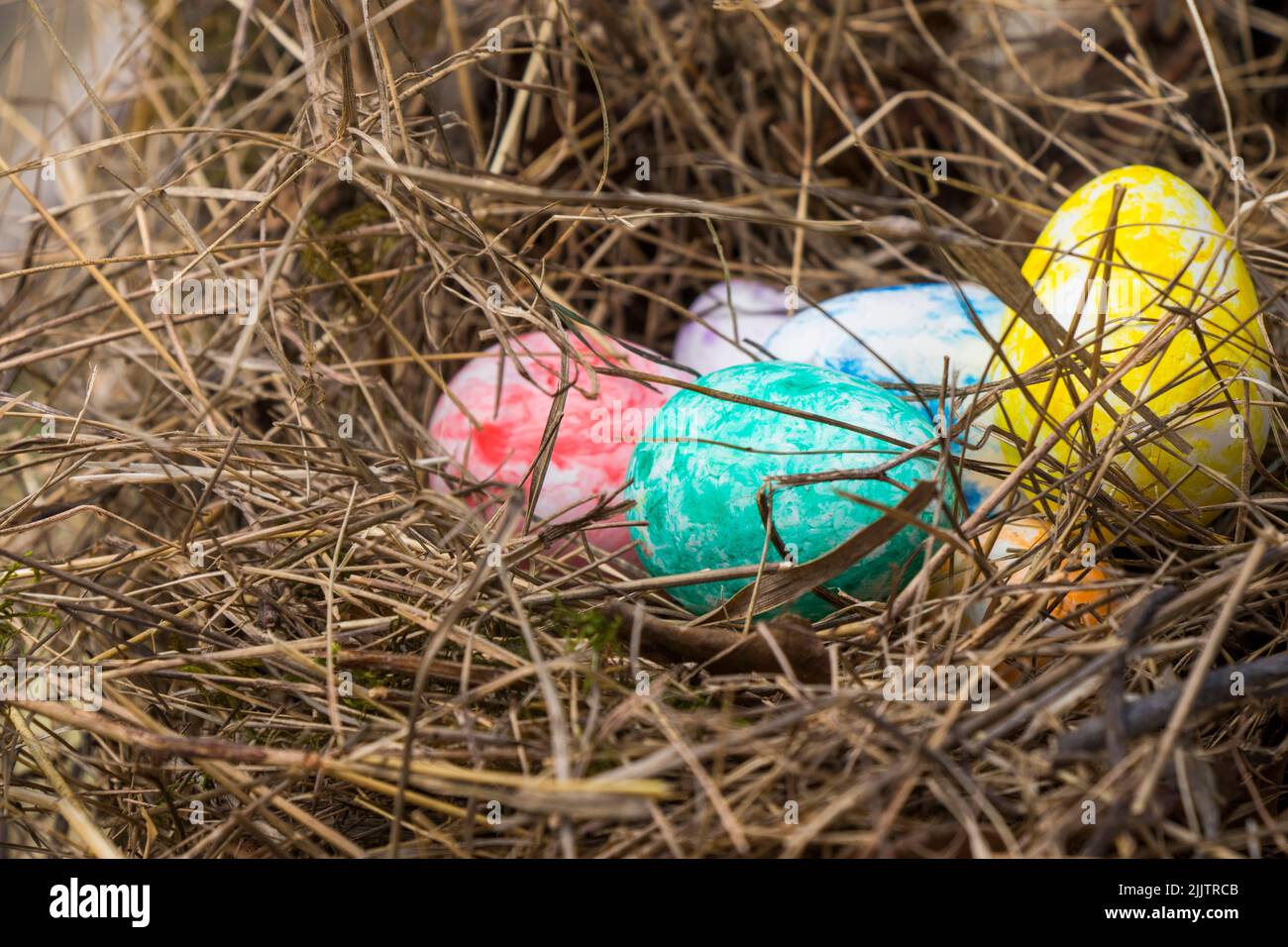 A closeup of colorful Easter eggs on grass in a field Stock Photo - Alamy