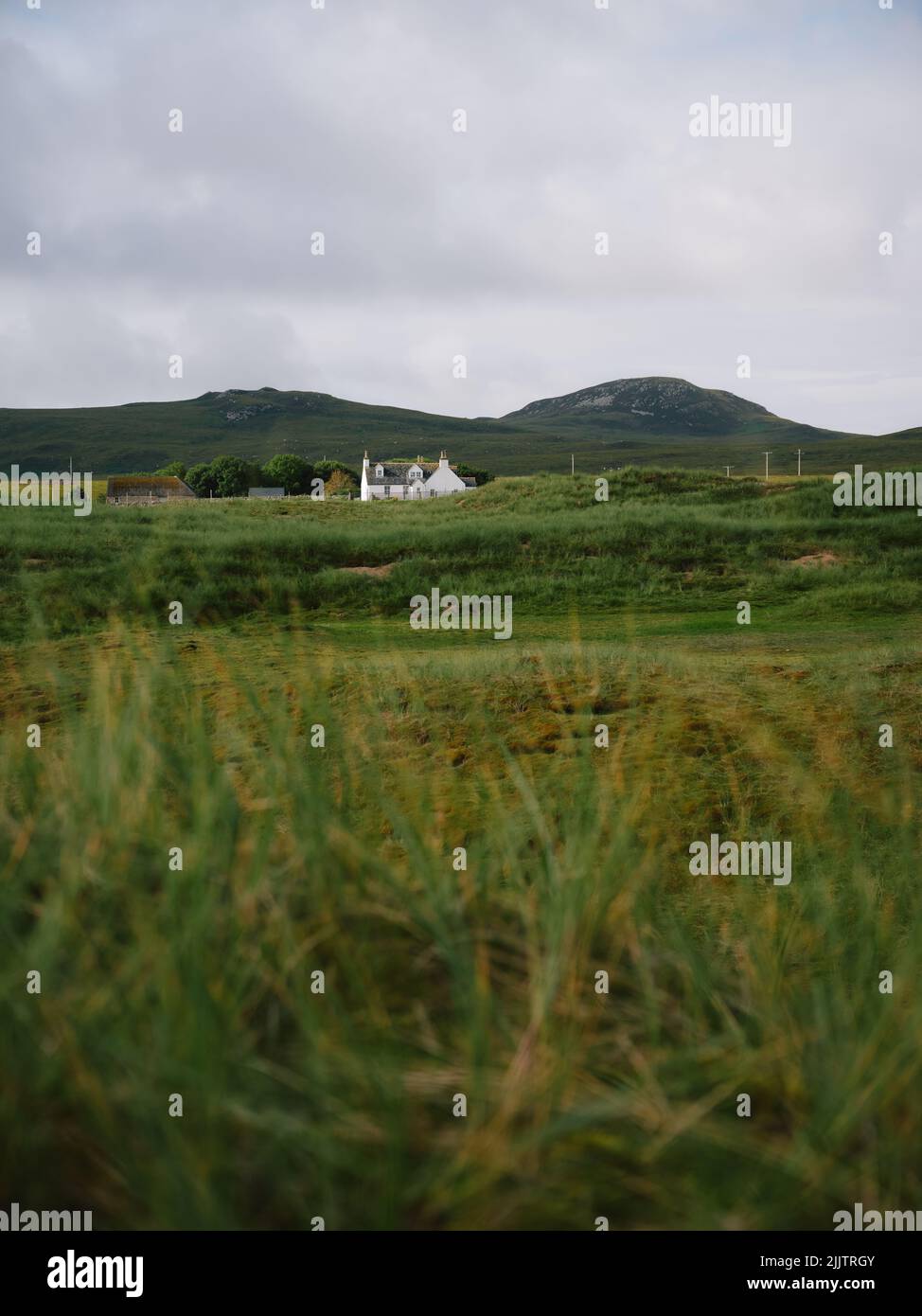 Lone white croft house summer grass & dune landscape of Achnahaird ...
