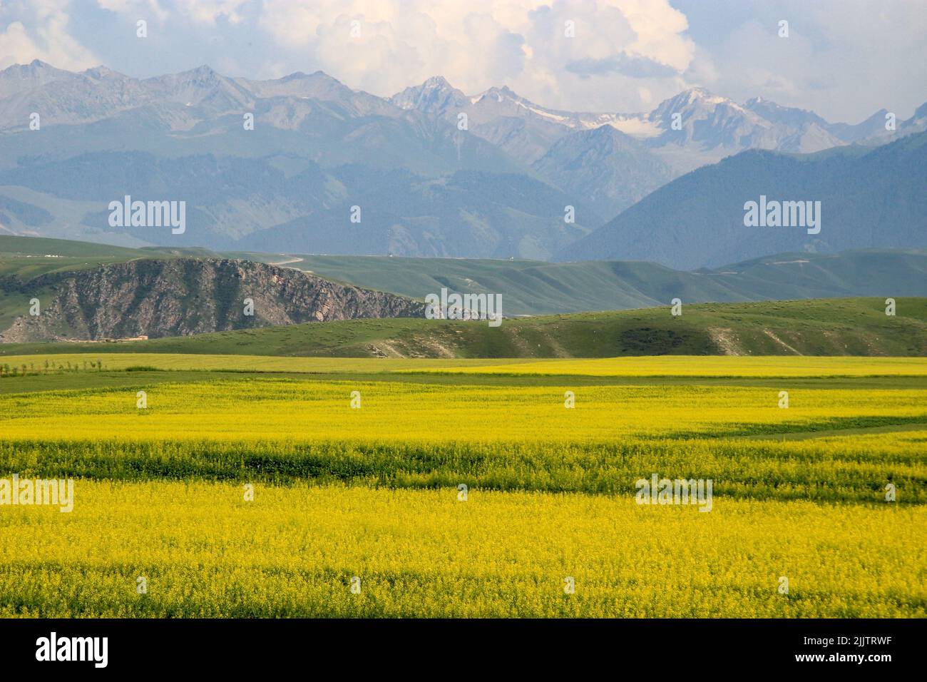 A mesmerizing view of Nalati Grassland in Xinjiang Stock Photo - Alamy