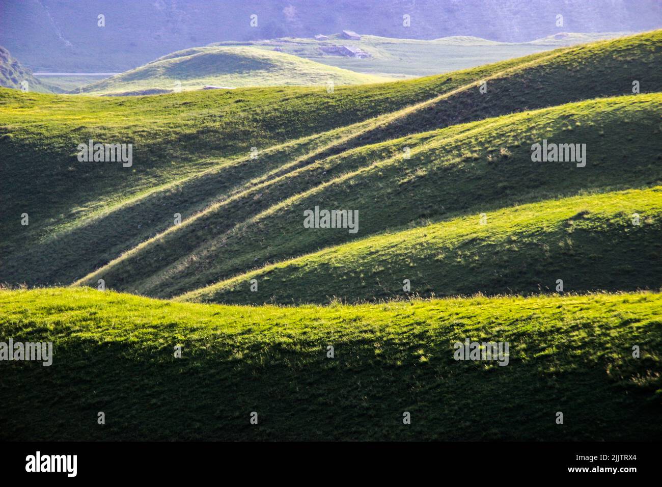 Kalajun grassland hi-res stock photography and images - Alamy