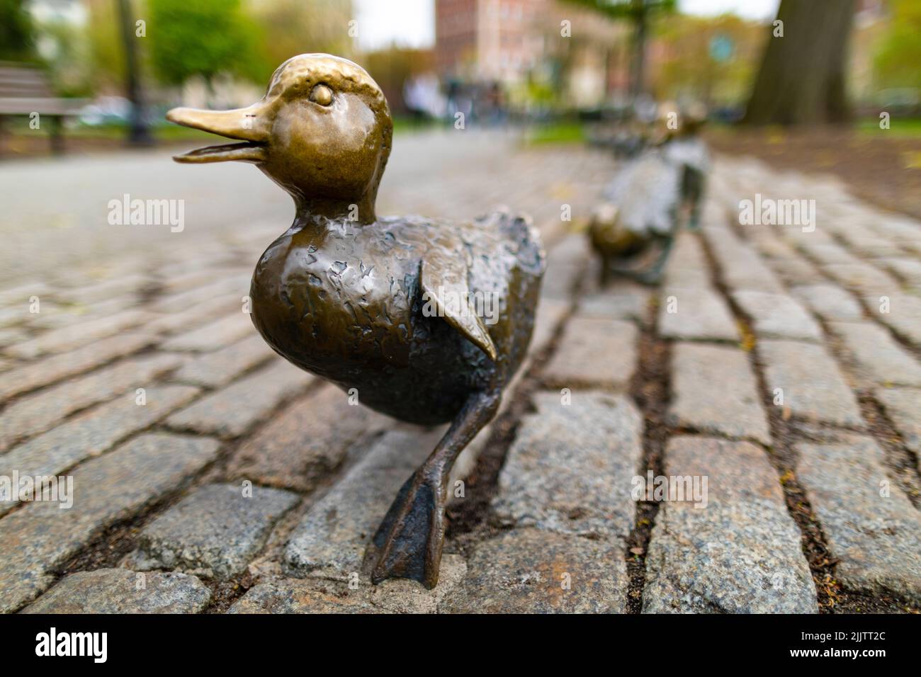 Statues of mother duck & her ducklings, story from children's picture ...