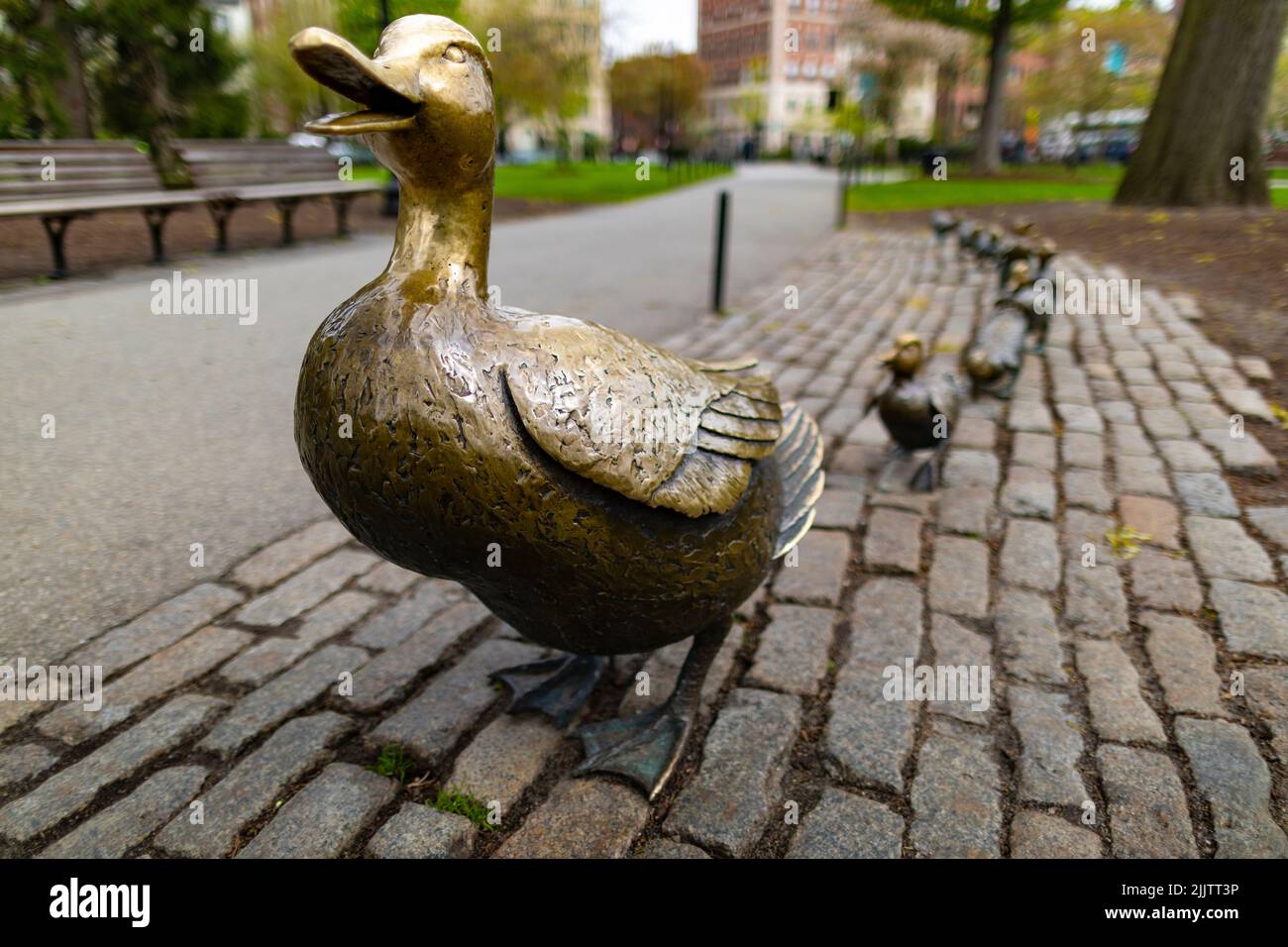 Statues of mother duck & her ducklings, story from children's picture ...