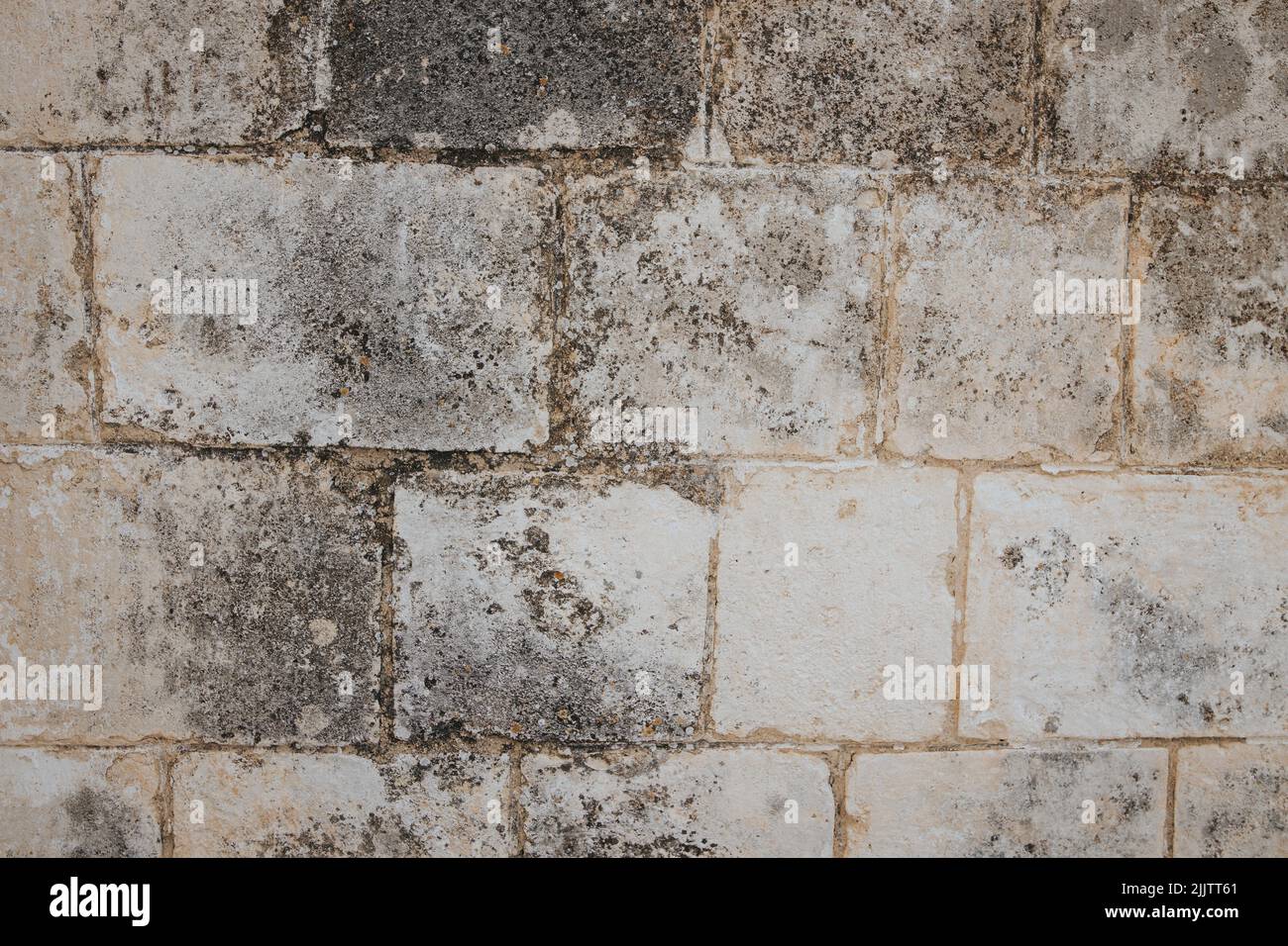 A closeup of an old rough textured wall outdoors - perfect for ...