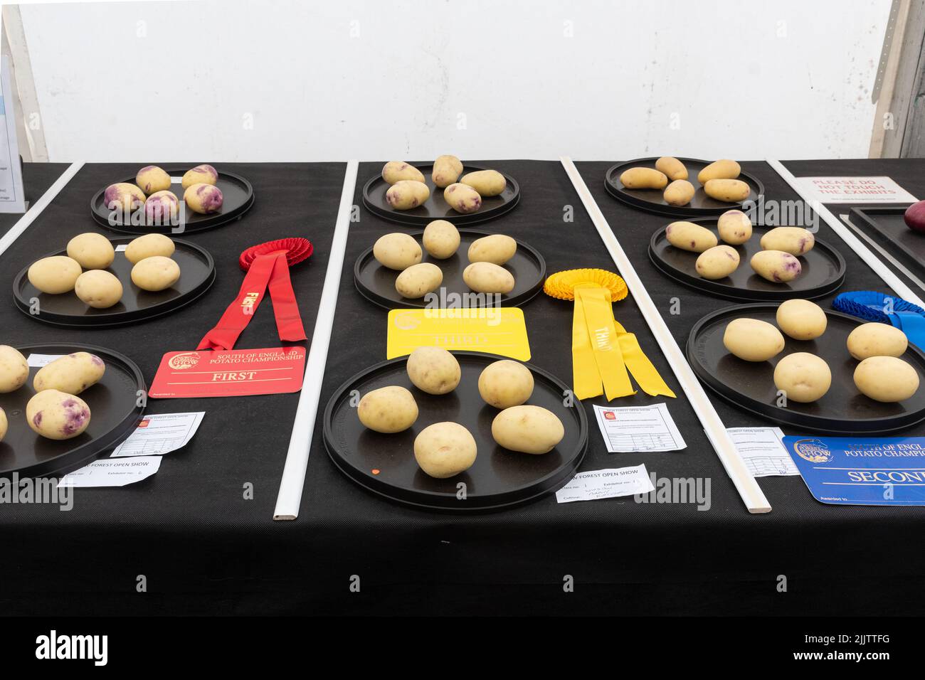 The vegetable show at the New Forest and Hampshire County Show in July ...