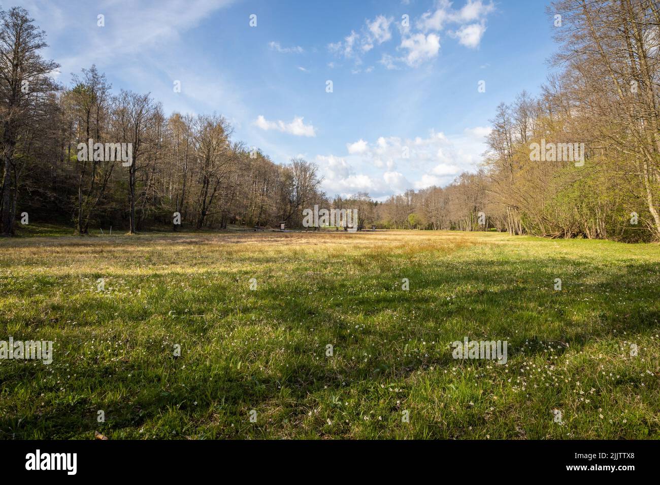 Green meadow view hi-res stock photography and images - Alamy