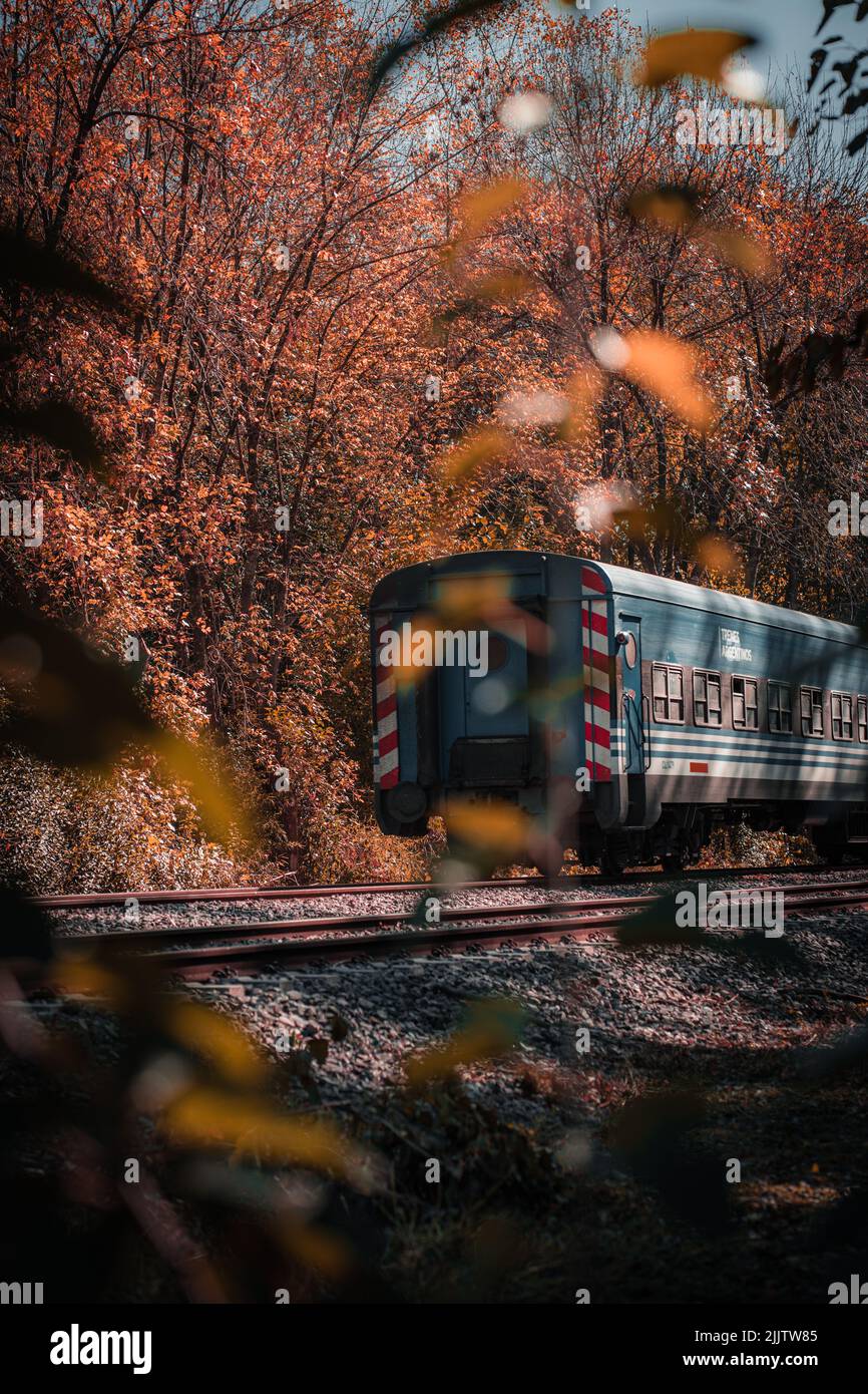 A view of old blue train in the woods behind autumn leaves Stock Photo ...