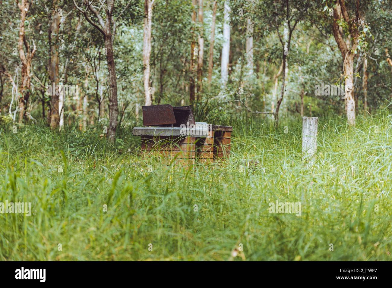 Season barbeque hi-res stock photography and images - Alamy