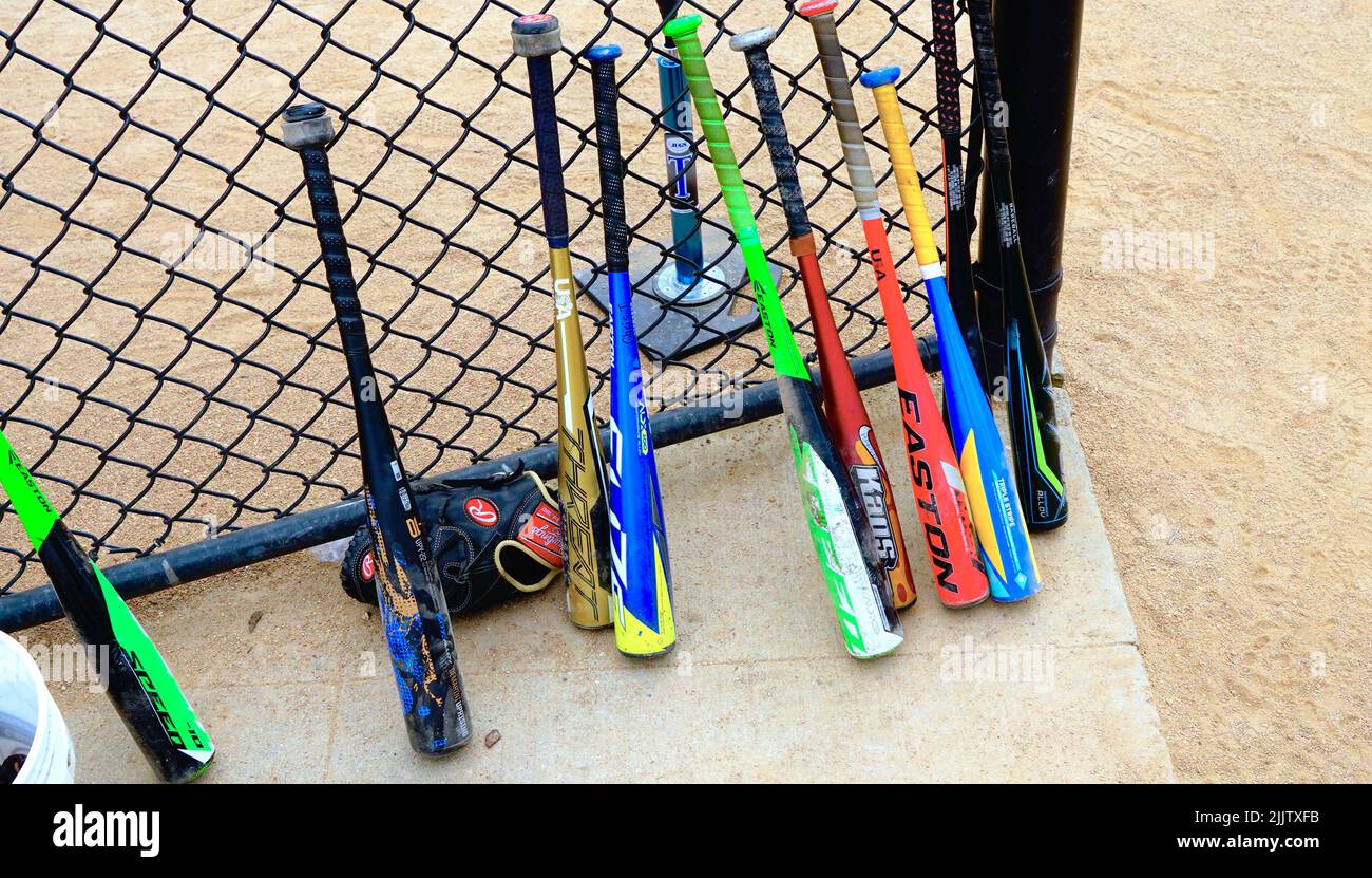 Colorful bats hi-res stock photography and images - Alamy