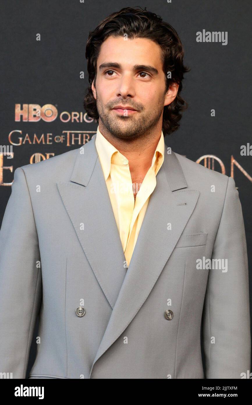 Los Angeles, CA. 27th July, 2022. Fabien Frankel at arrivals for HOUSE ...