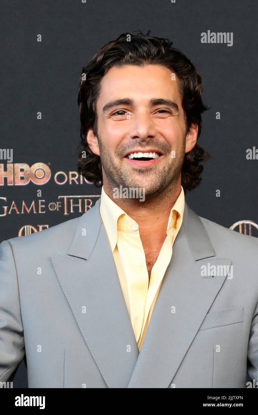 Los Angeles, CA. 27th July, 2022. Fabien Frankel at arrivals for HOUSE ...