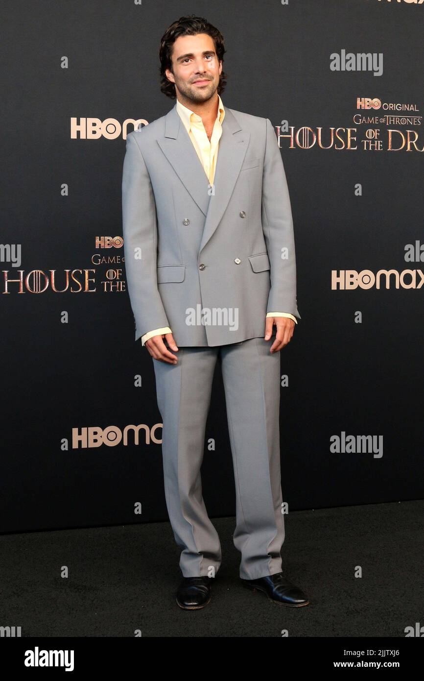 Los Angeles, CA. 27th July, 2022. Fabien Frankel at arrivals for HOUSE ...