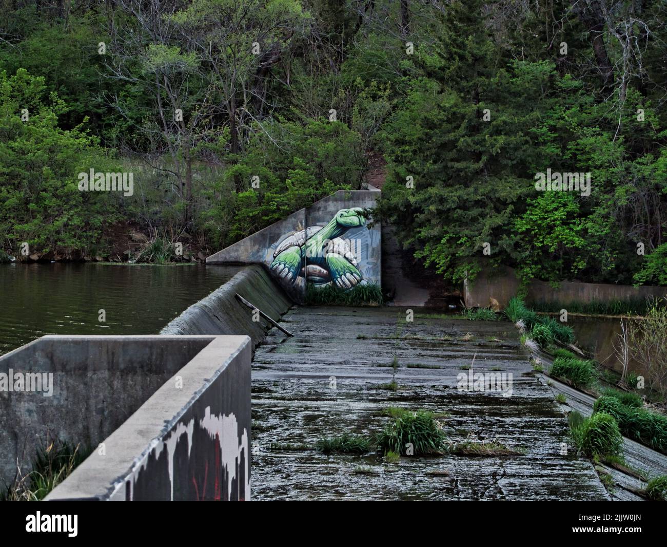 Graffiti turtle hi-res stock photography and images - Alamy
