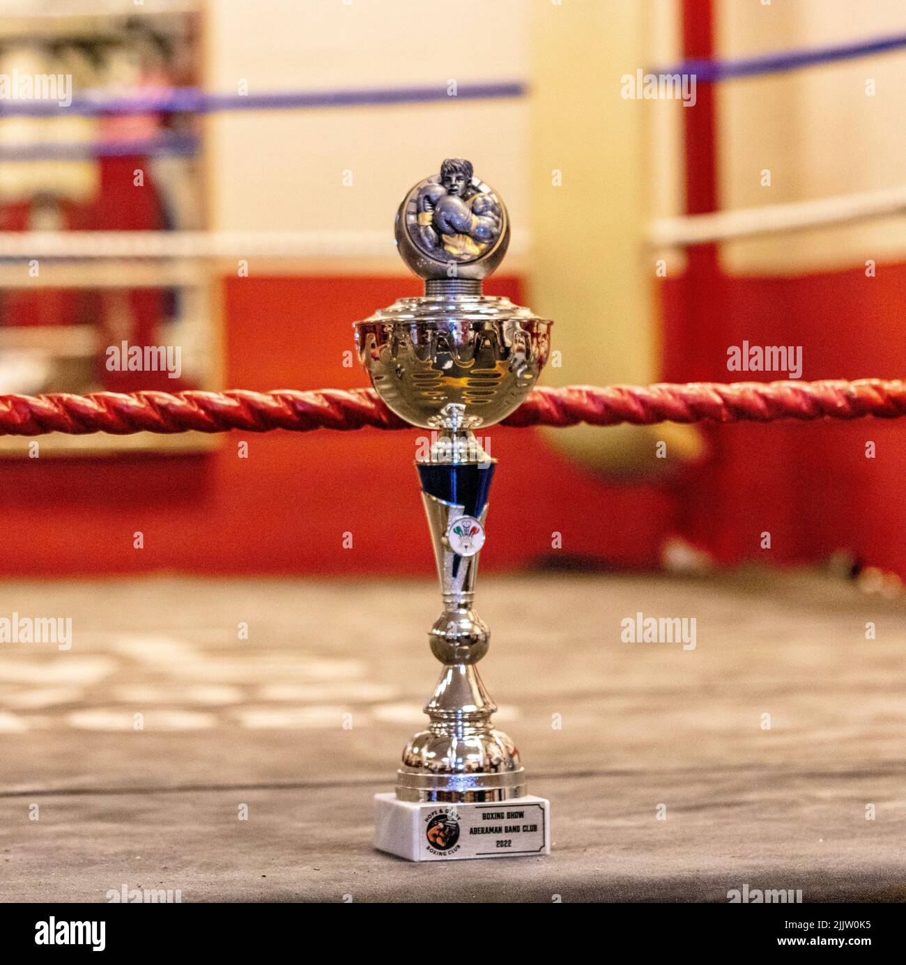 Amateur winner hi-res stock photography and images - Alamy