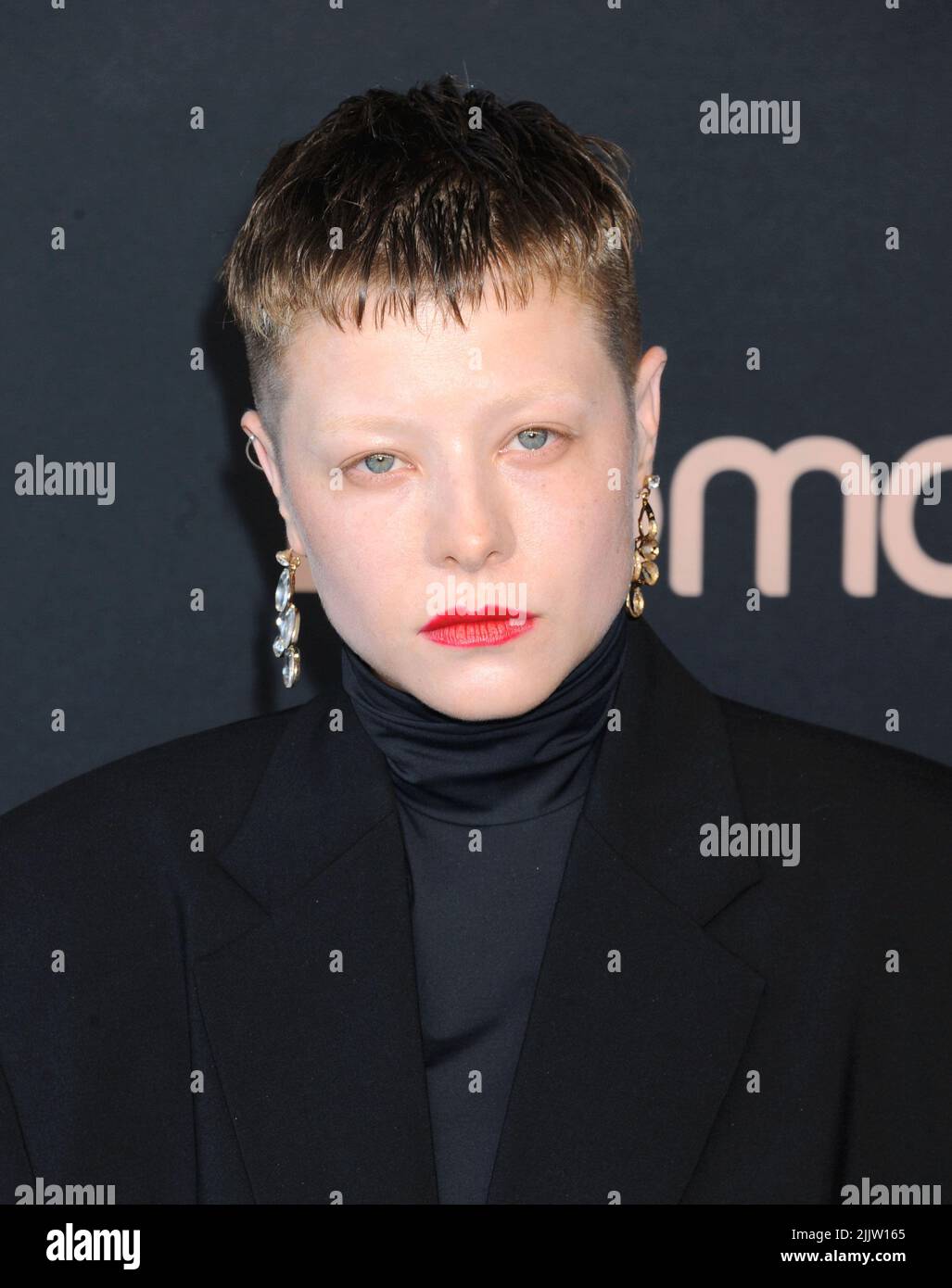 LOS ANGELES, CA - JULY 27: Emma D'Arcy attends the HBO Original Drama ...