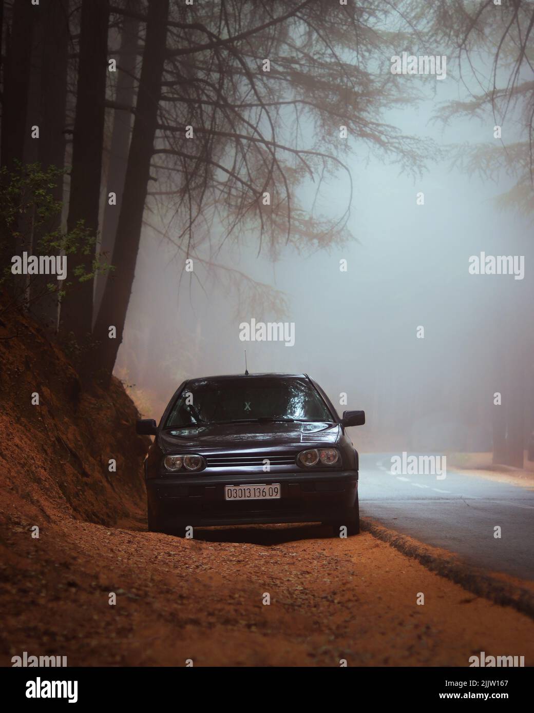 A vertical shot of the car parked on the side of the forest road in ...