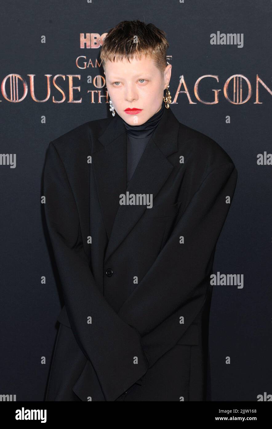 LOS ANGELES, CA - JULY 27: Emma D'Arcy attends the HBO Original Drama ...