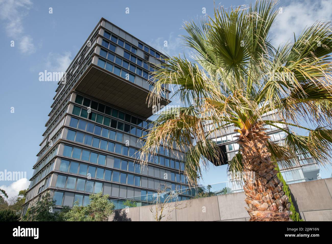 The Estoril Sol Residence, a luxury apartment block and a palm tree ...